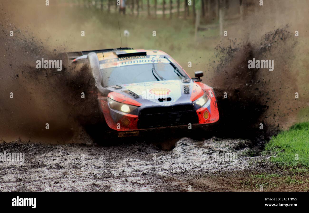Welsh rally driver Elfyn Evans and British Scott Martin with car Toyota ...