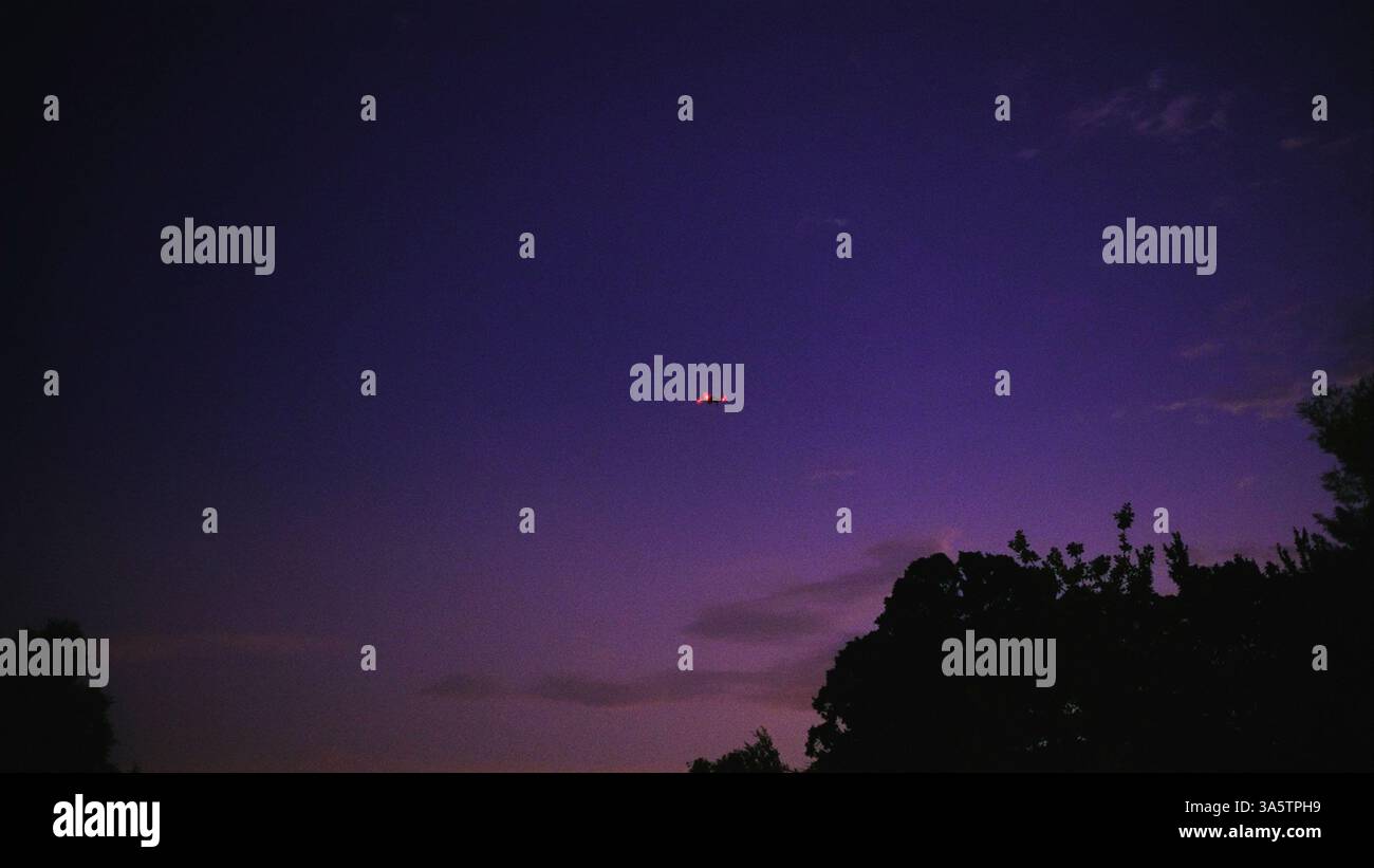 Fear Fokol (2025) *Filmstill - Editorial Use Only* see Special ...