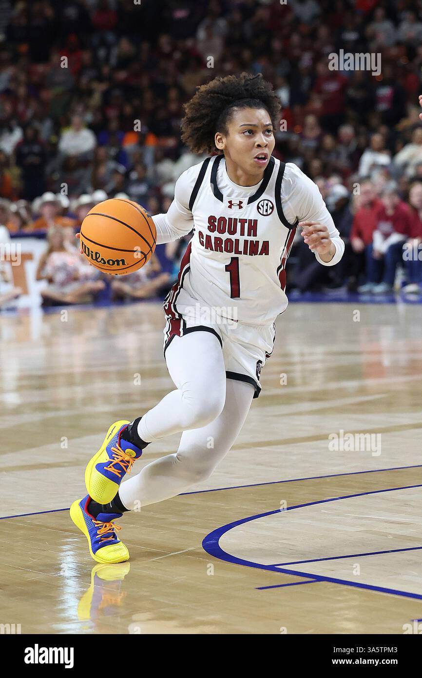 GREENVILLE, SC - MARCH 09: South Carolina Gamecocks guard Maddy ...