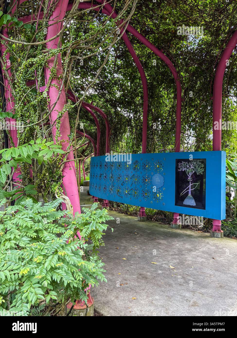 The Learning Forest at the National Orchid Garden in Singapore has a ...