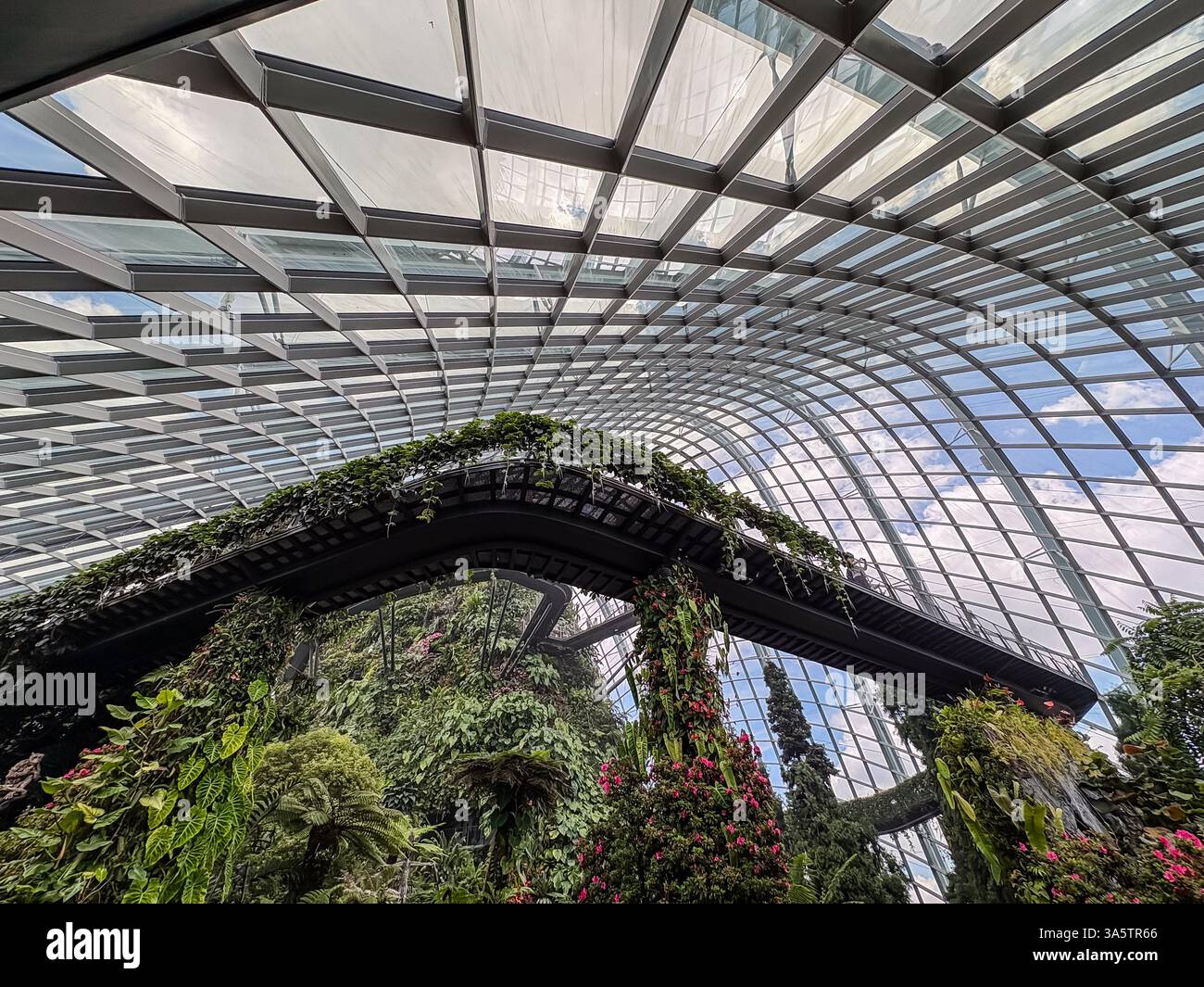 Cloud Forest is a distinctive biodome within Gardens by the Bay ...