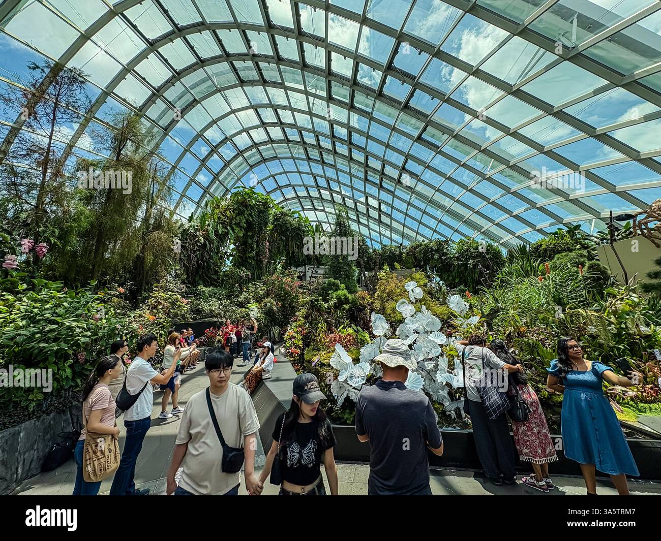 Flower Dome is the largest greenhouse in Gardens by the Bay. It ...