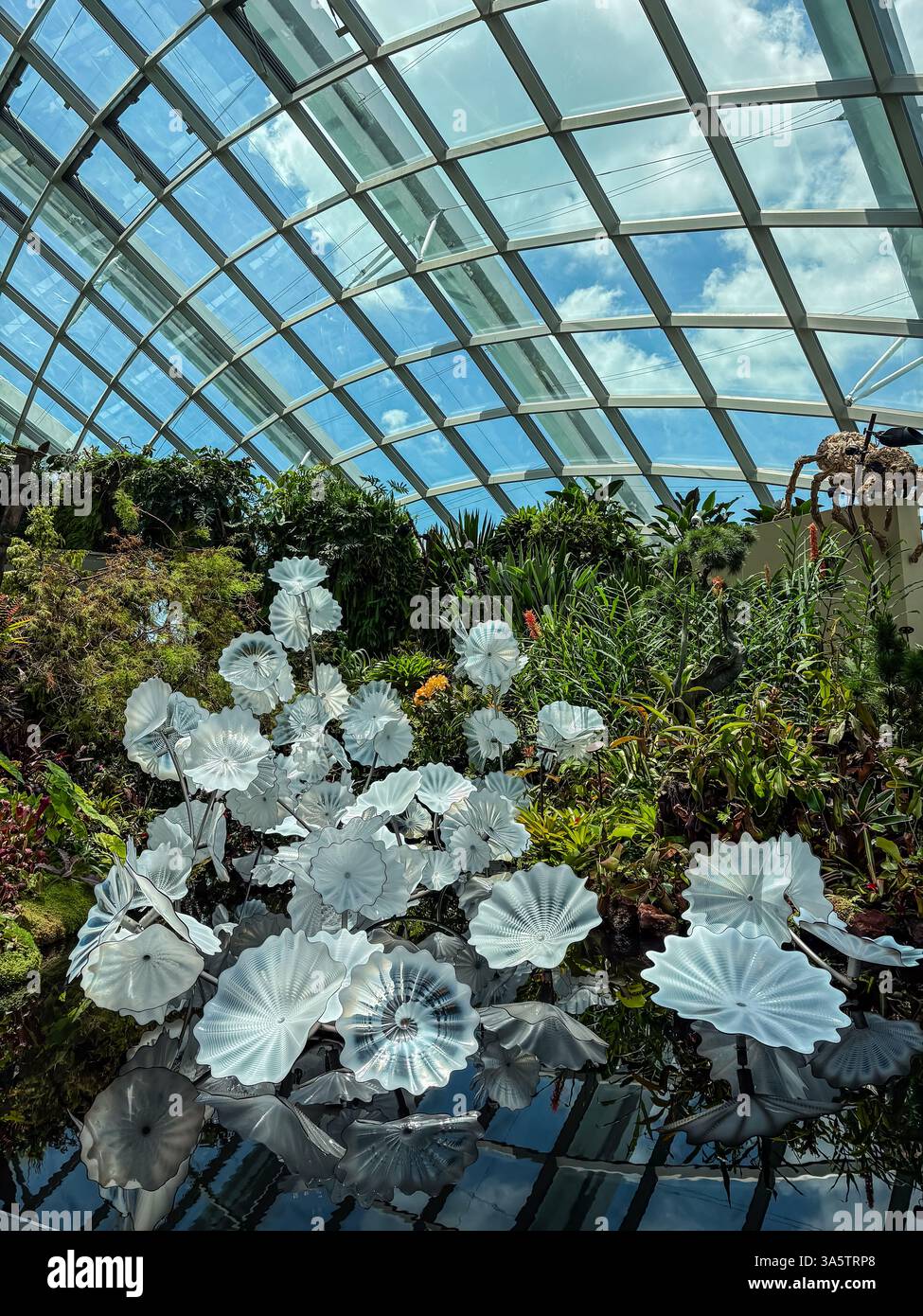 Flower Dome in Singapore is a garden under a glass roof. It features ...
