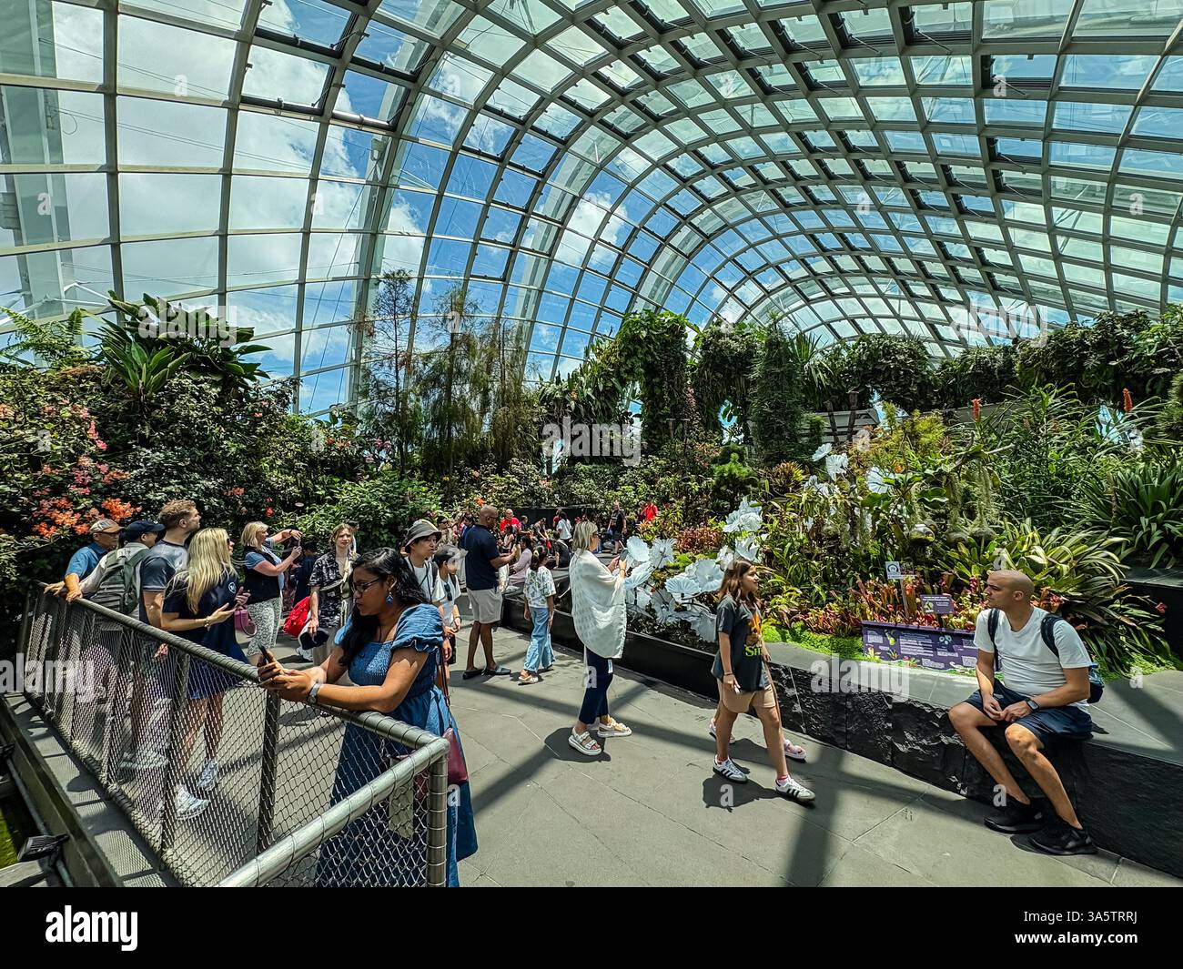 The Cloud Forest in Gardens by the Bay, Singapore, is a biodome with ...