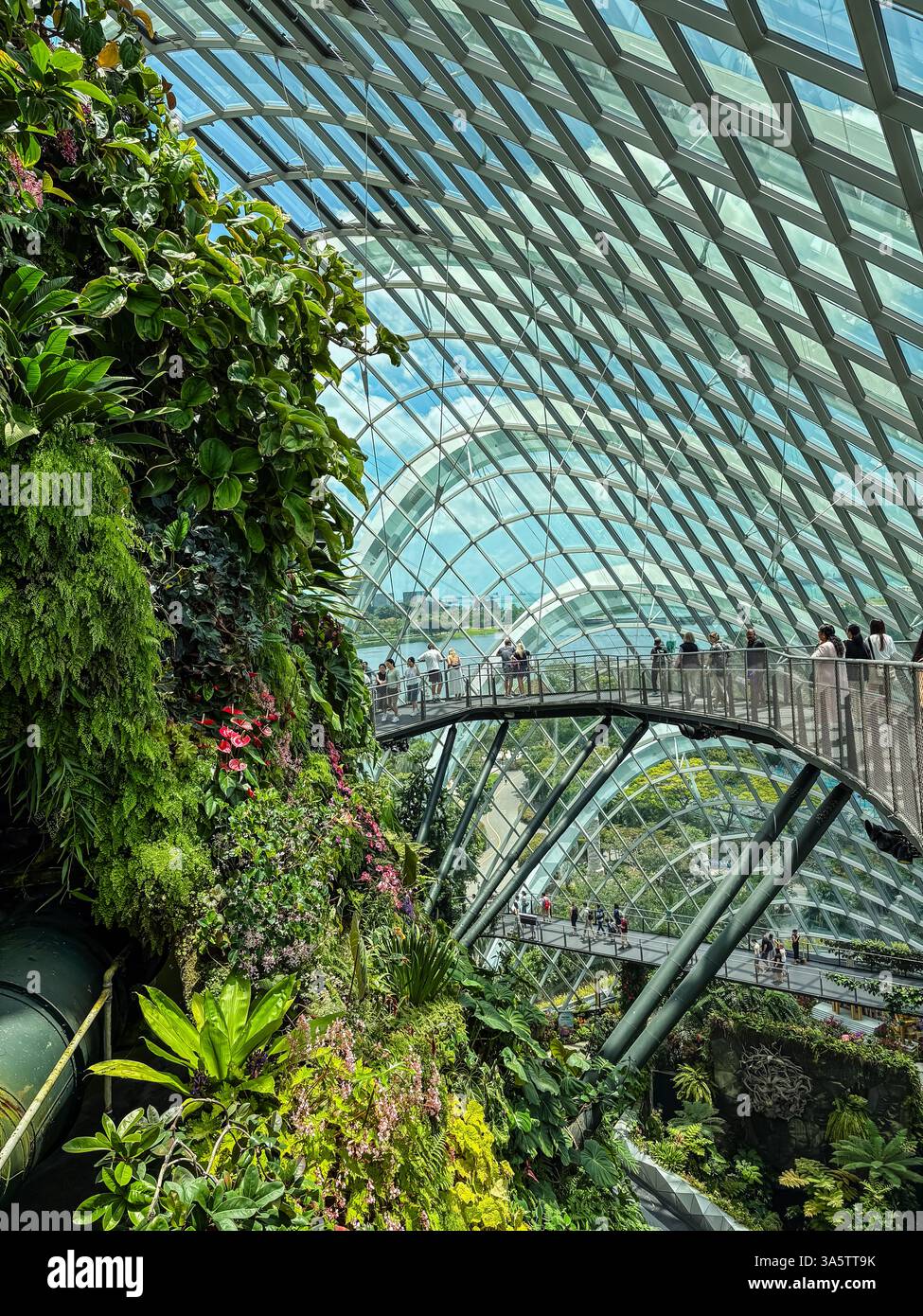 Gardens By The Bay Cloud Forest in Singapore. Interior view of plants ...