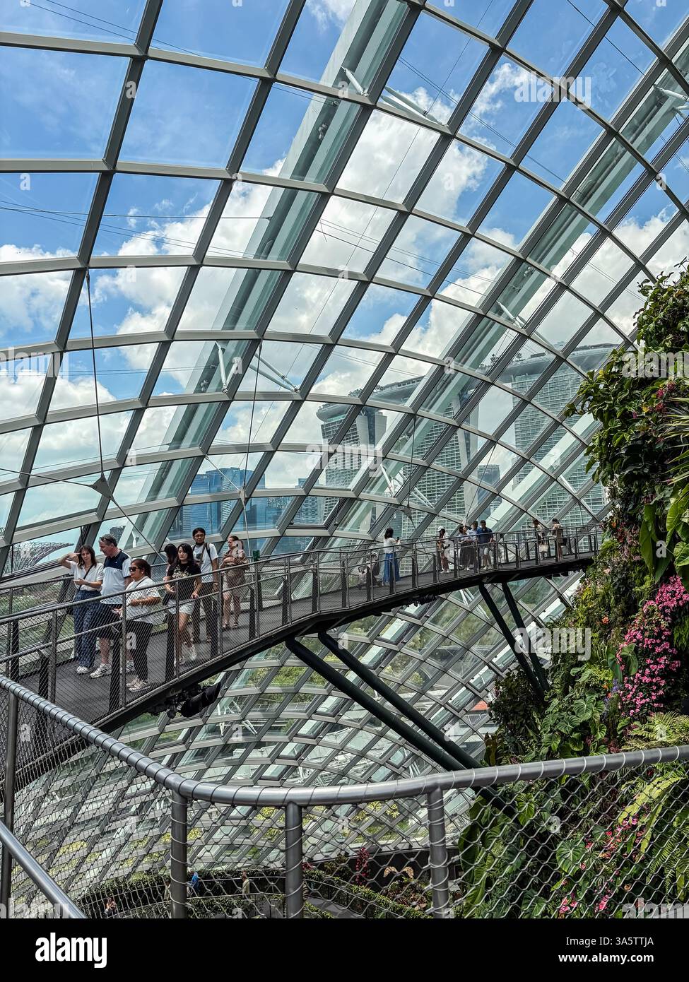 Gardens by the bay cloud forest in Singapore, view of the structure ...