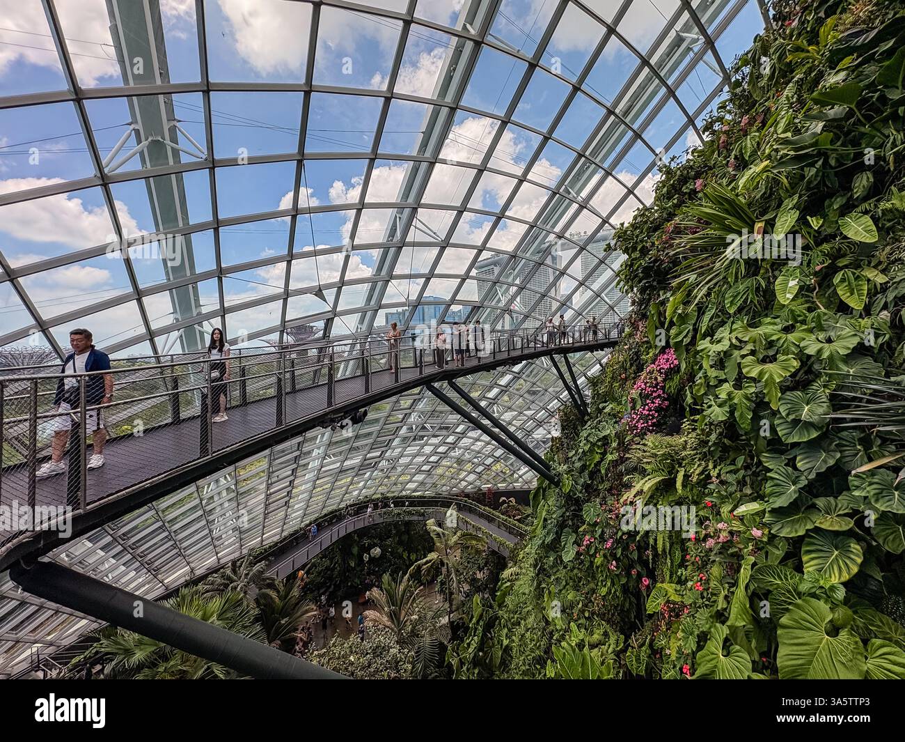 Cloud Forest in Gardens by the Bay, Singapore. It features diverse ...