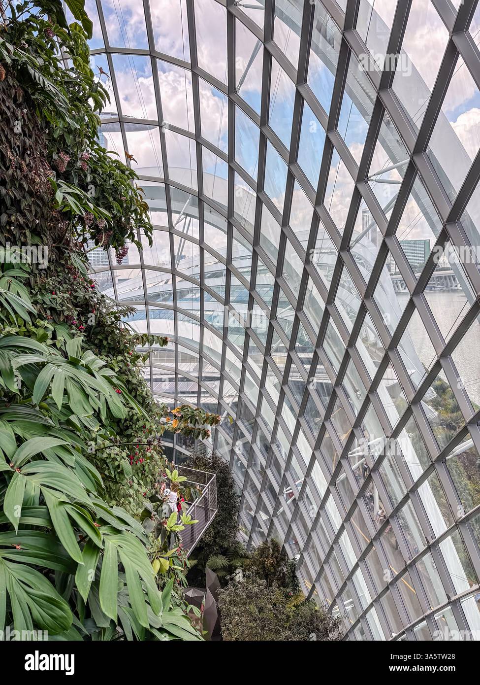Cloud Forest dome at Gardens by the Bay in Singapore. Inside view of the steel and glass grid ...