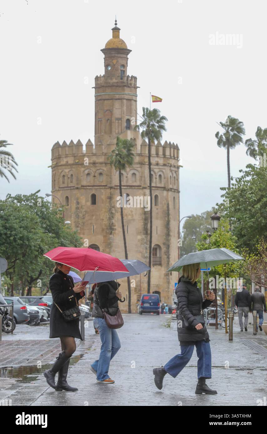 Seville, March 8, 2025. Storm and rain in Seville. Jana storm. Photo ...
