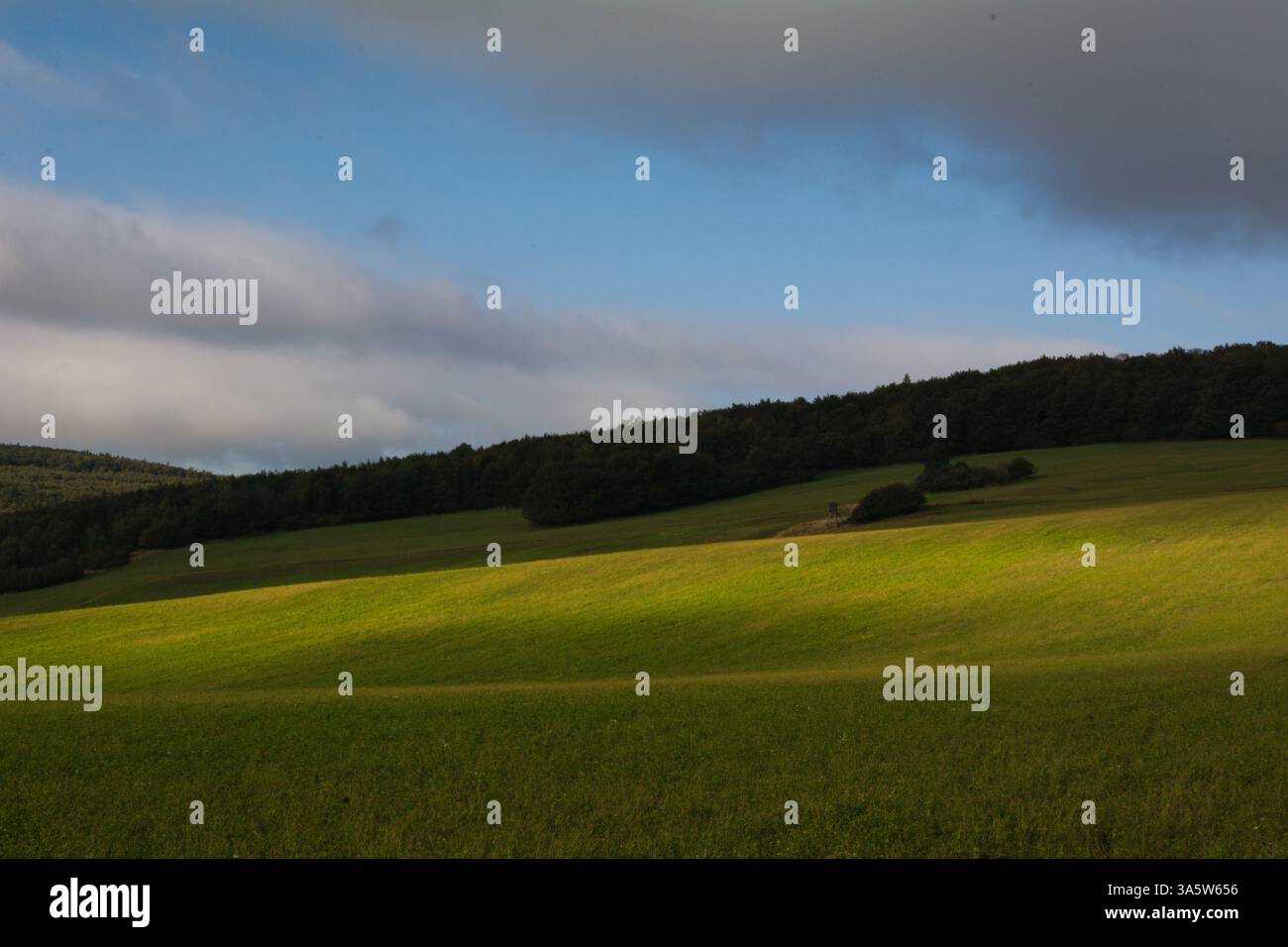 Meadow landscape with light and shadow Stock Photo - Alamy