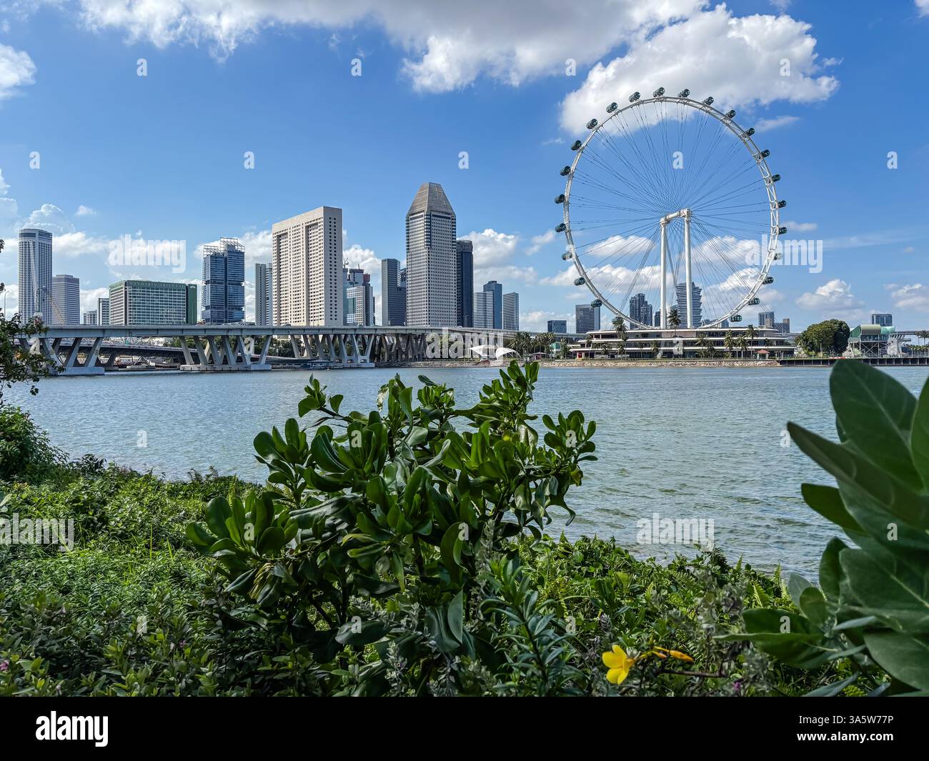 The Singapore Flyer is a giant observation wheel at Downtown Core ...
