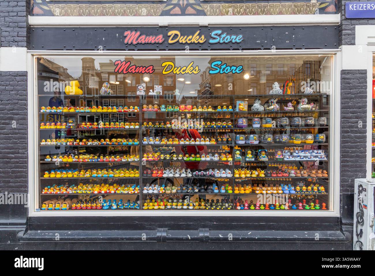 Amsterdam, the Netherlands. 16 March 2024. Mama Ducks Store shop window ...