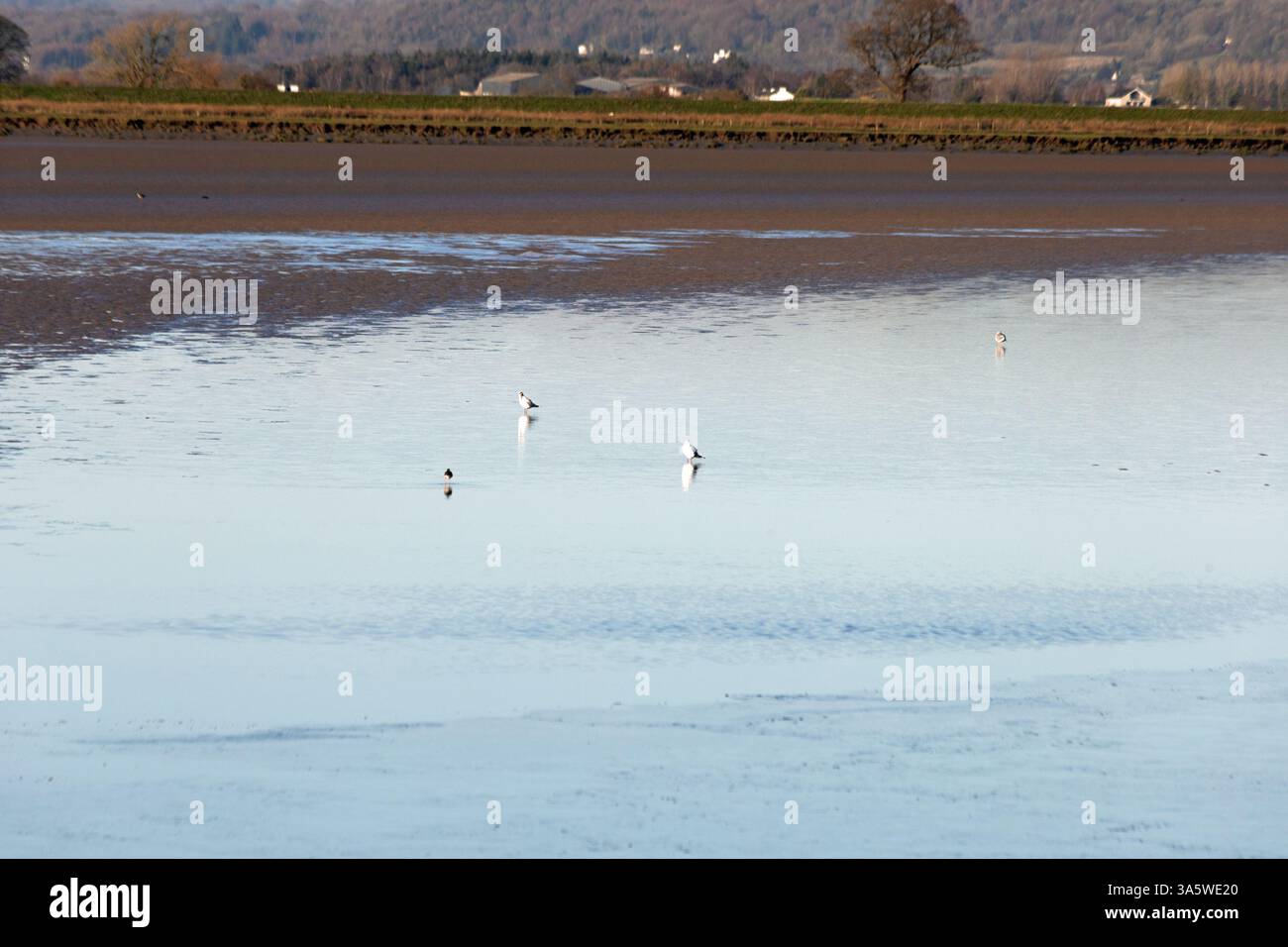The River Kent Estuary on a cold autumn day at Sandside between Arnside ...