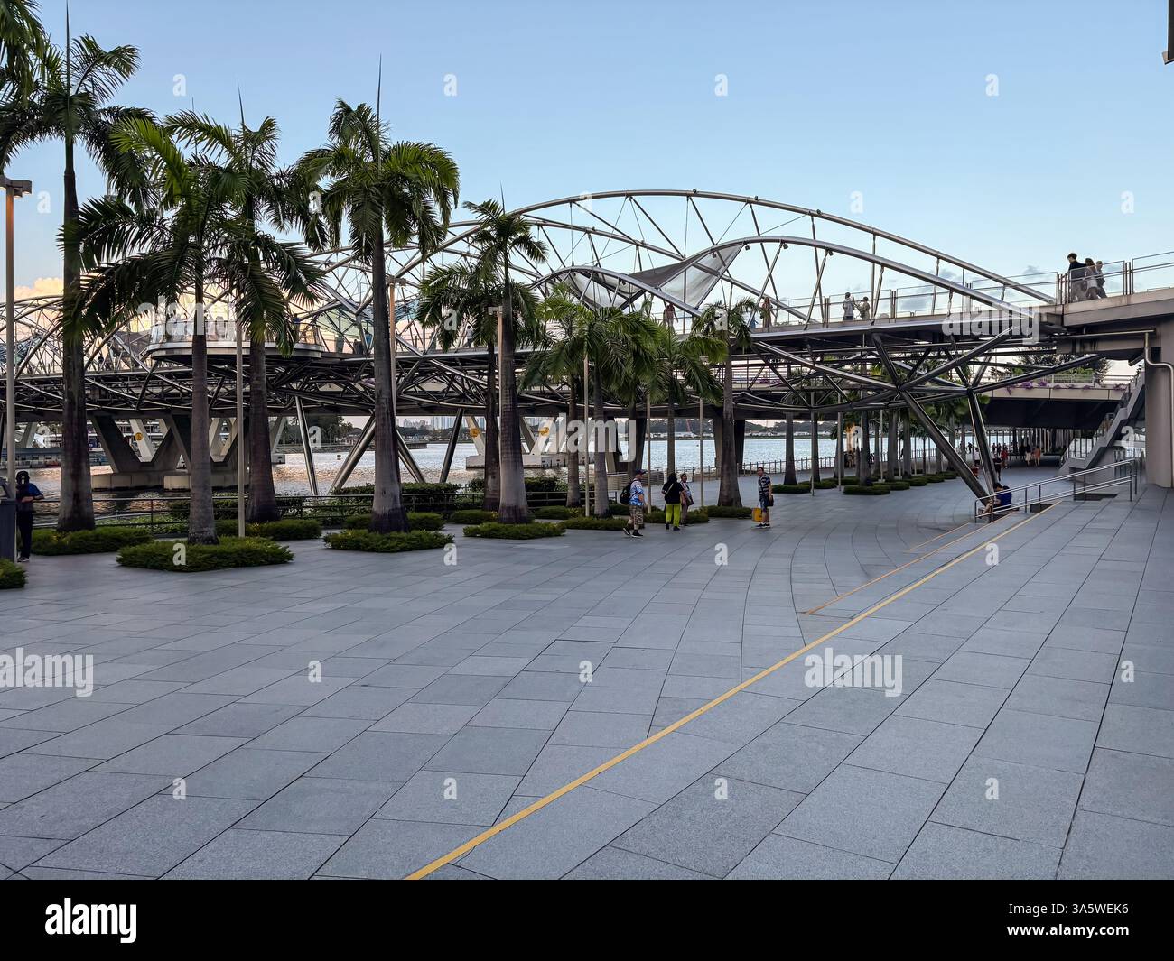 Helix bridge, Singapore, at dusk with people walking around. Palm trees ...