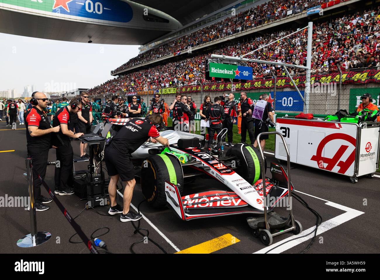 31 OCON Esteban (fra), Haas F1 Team VF-25 Ferrari, grid during the ...