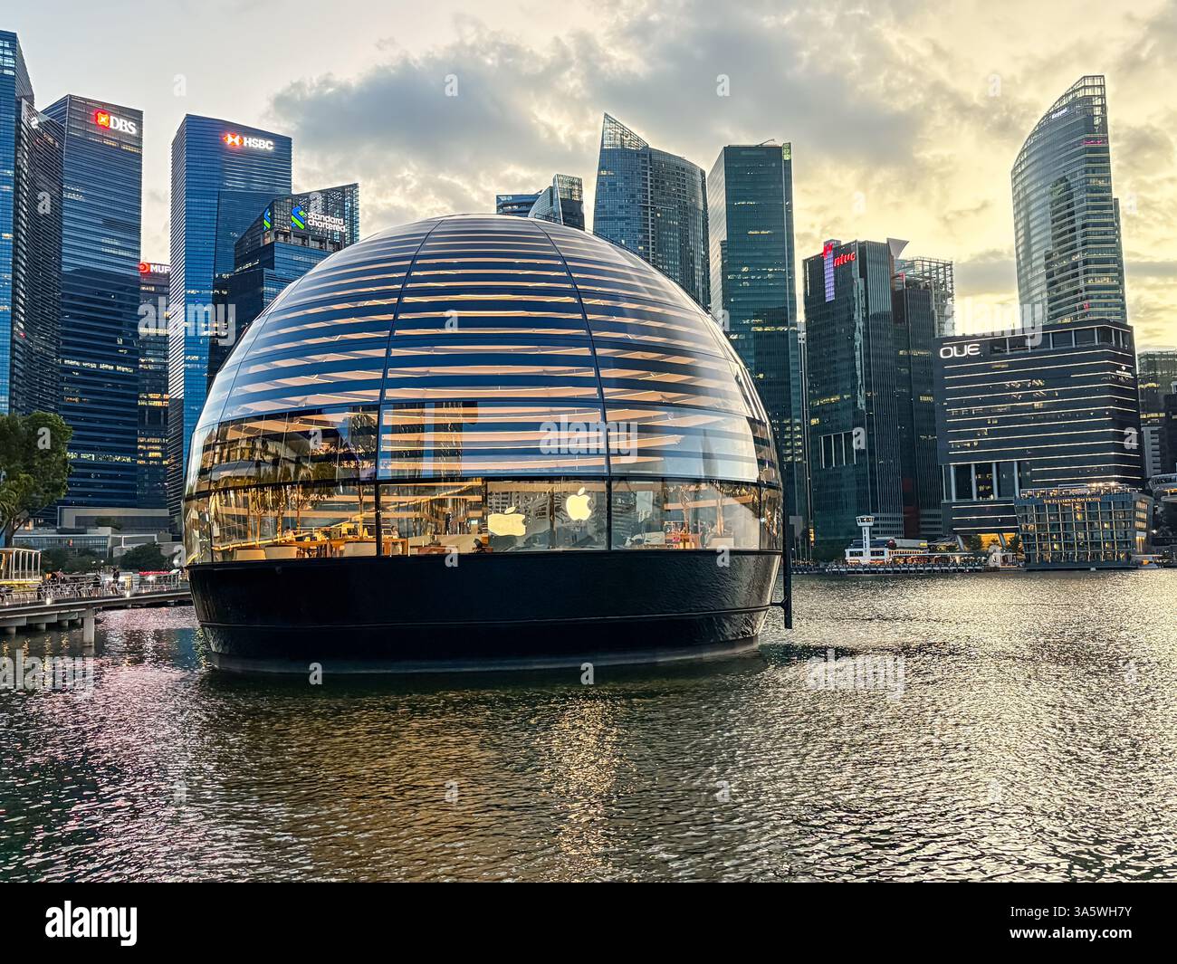Apple Marina Bay Sands is a distinctive dome-shaped store floating on ...