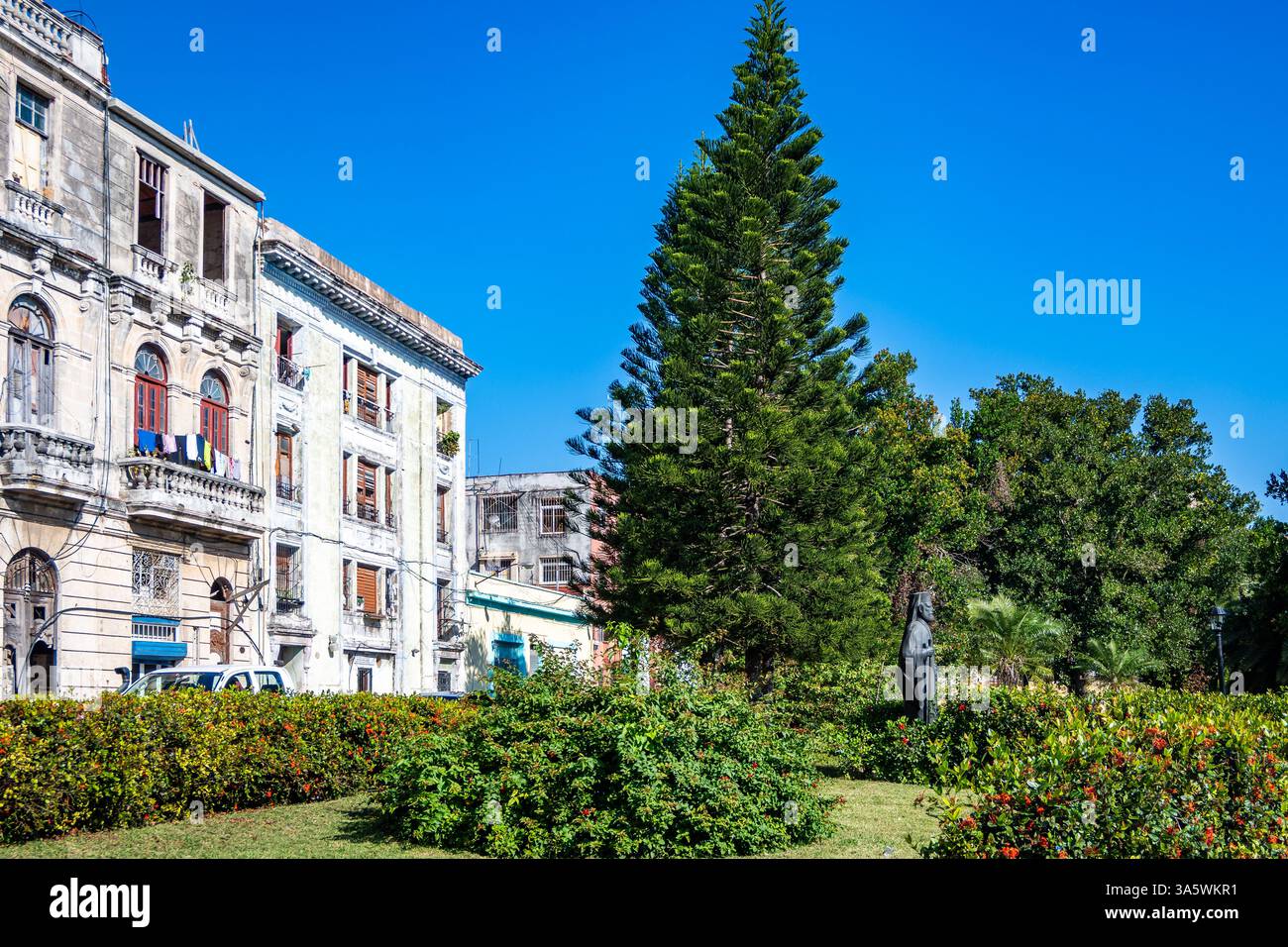 A garden on the street of historic Centro Havana, Cuba Stock Photo - Alamy