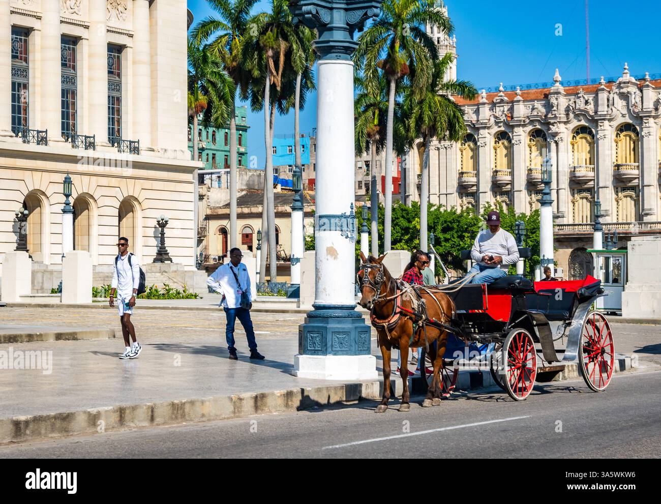 Horse drawn carriage serves tourists on the street of Havana, Cuba ...