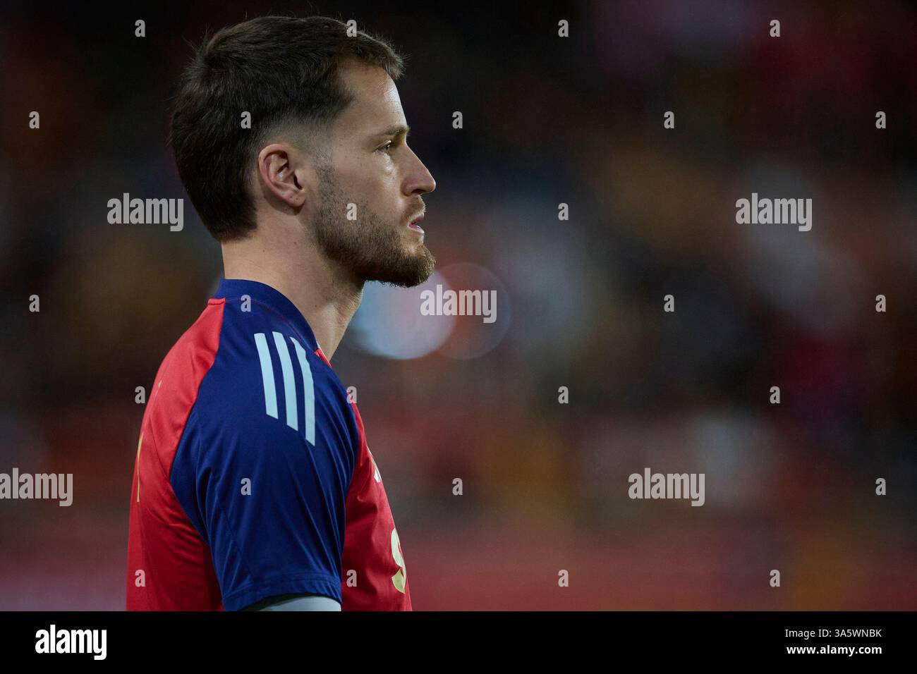 Valencia, Spain. 23rd Mar, 2025. Spain's Alex Remiro during UEFA ...