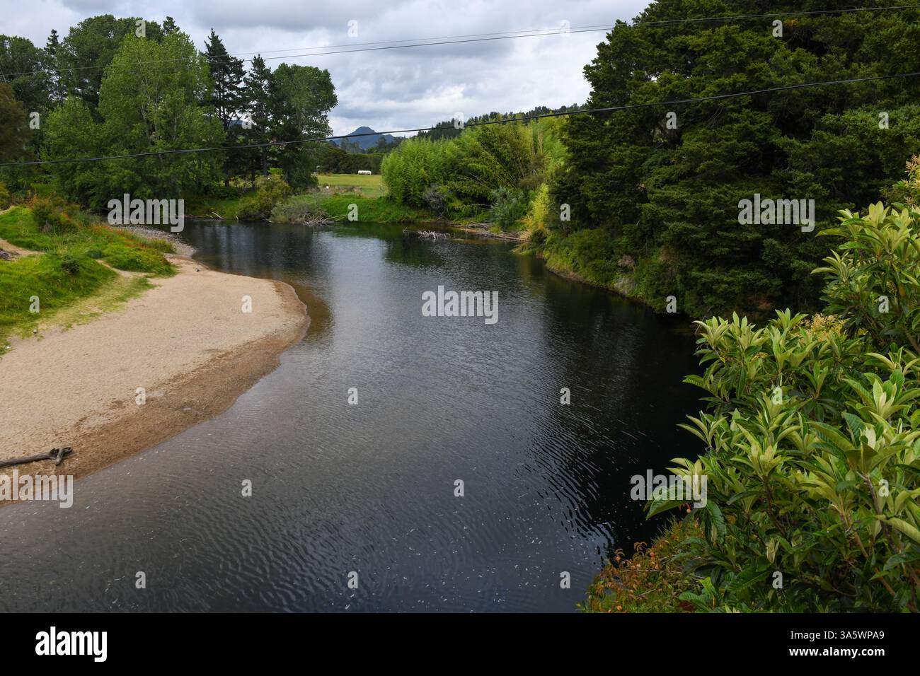 View at Waiwawa river on new Zealand Stock Photo - Alamy