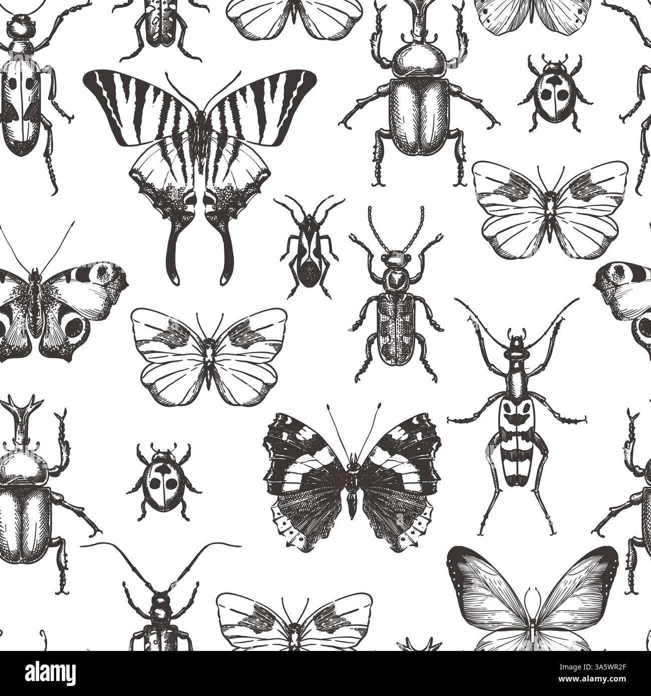 Vector seamless pattern with butterflies, bugs, beetles. Vector hand ...