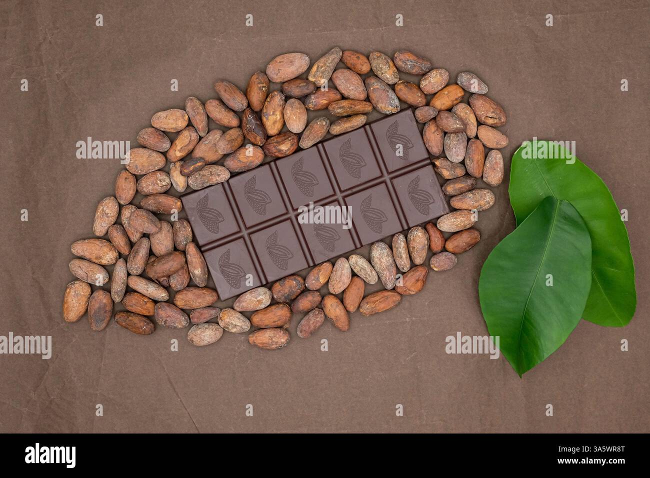 Cocoa fruit is designed from chocolate bar and cocoa beans. Green ...