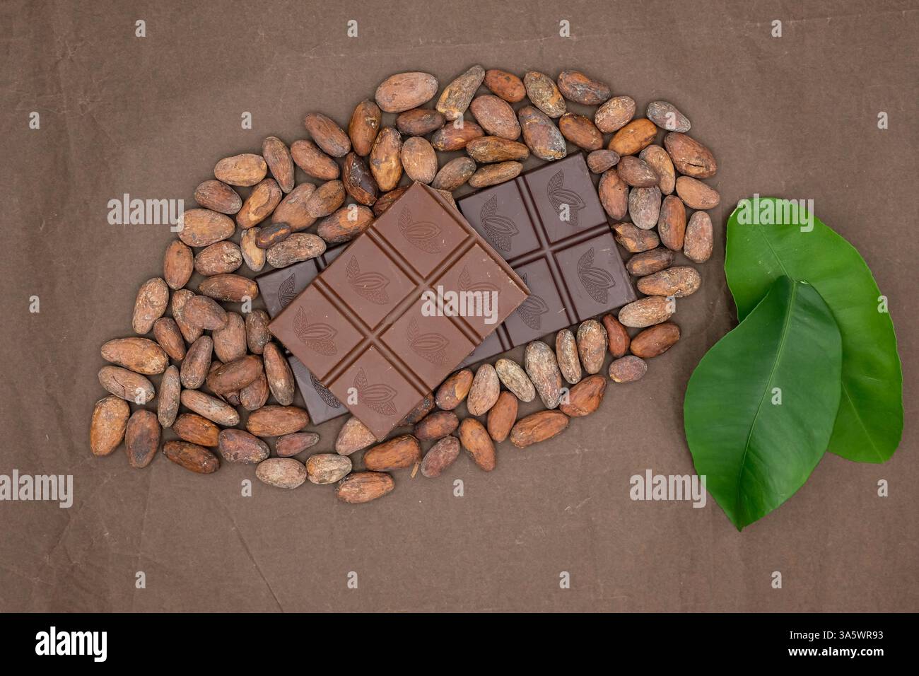 Cocoa fruit is designed from chocolate bar and cocoa beans. Green ...