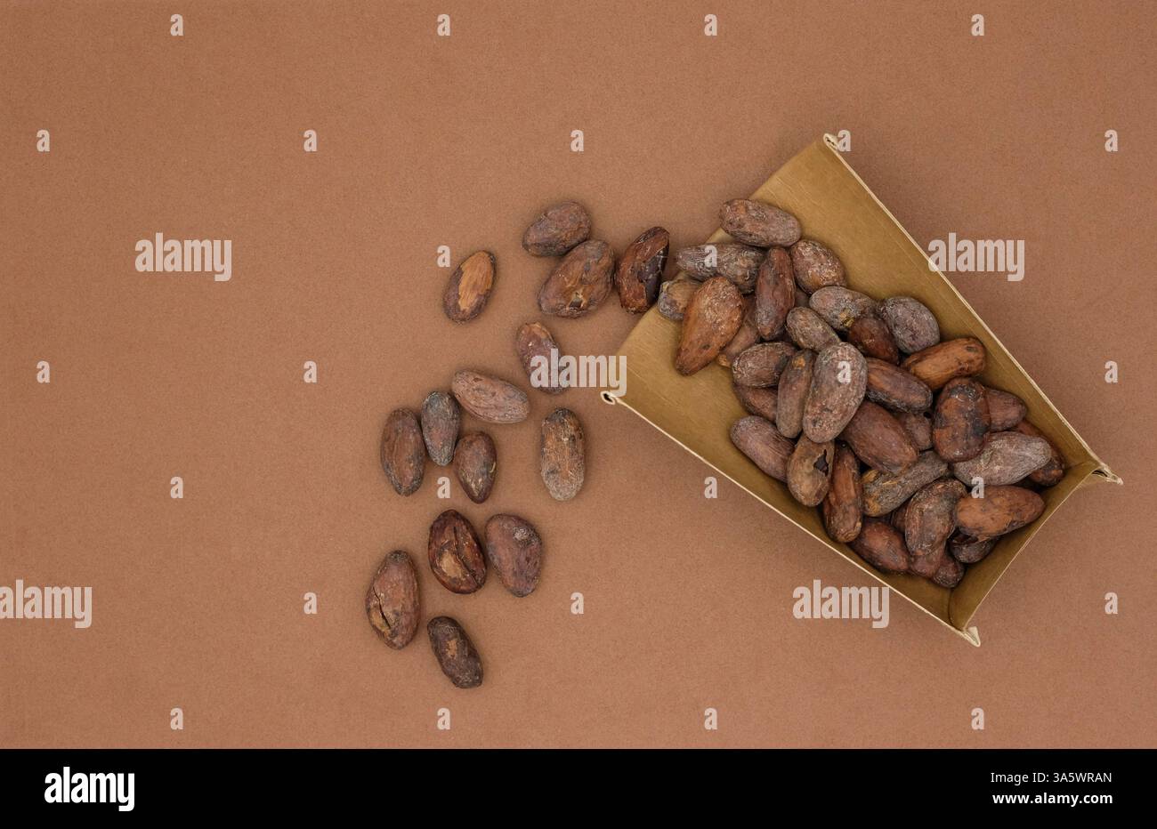 Cocoa beans from the disposable paper cup spill out. Copy space Stock ...