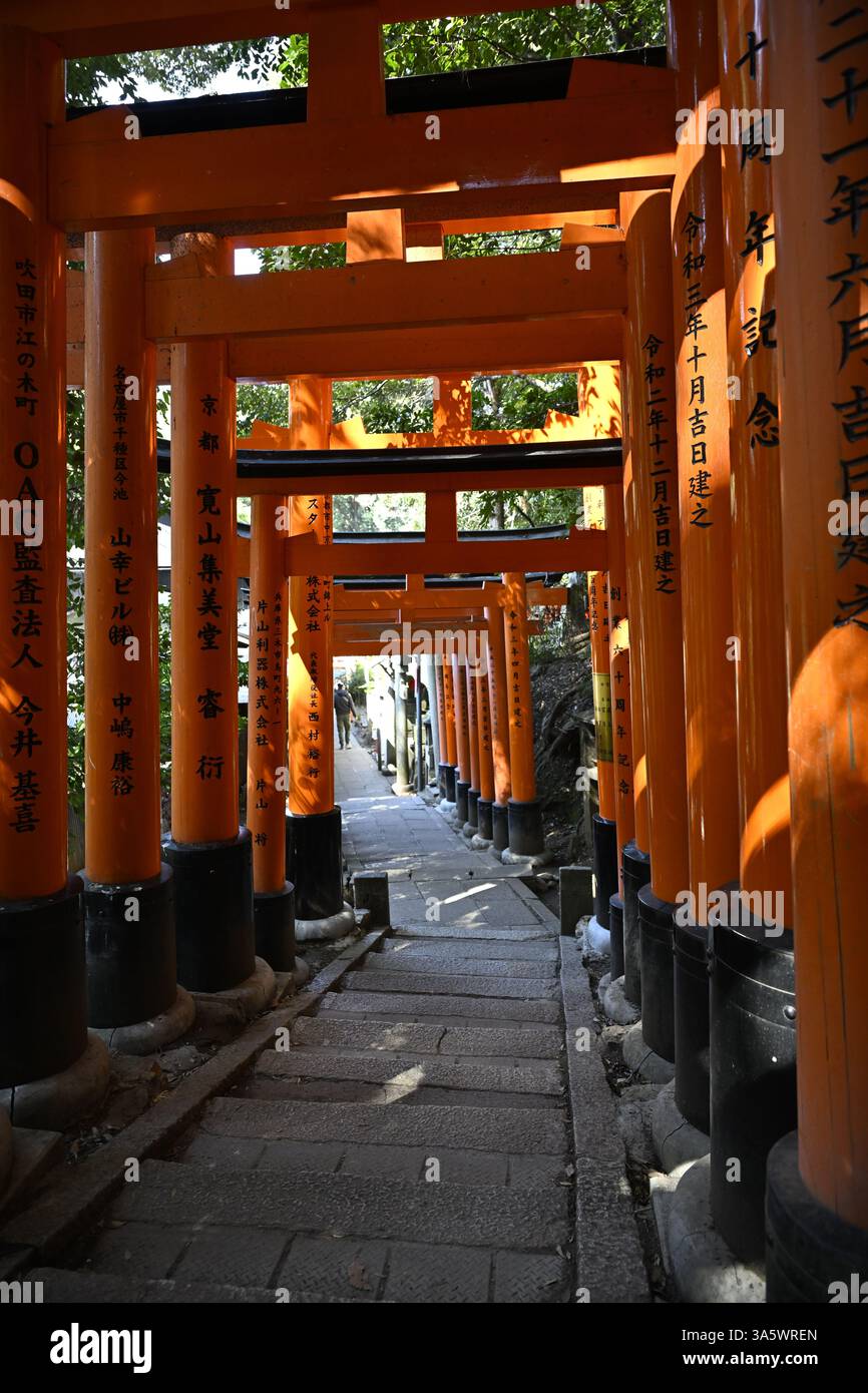 Fushimi inari taisha red torii gates kyoto japan hi-res stock ...