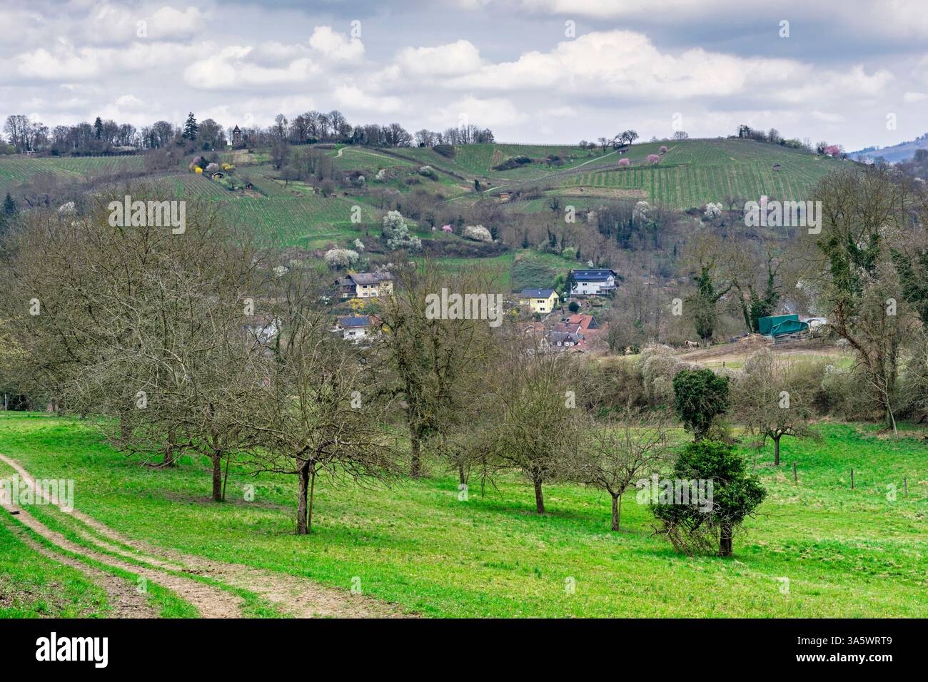 Hessen landscape hi-res stock photography and images - Alamy