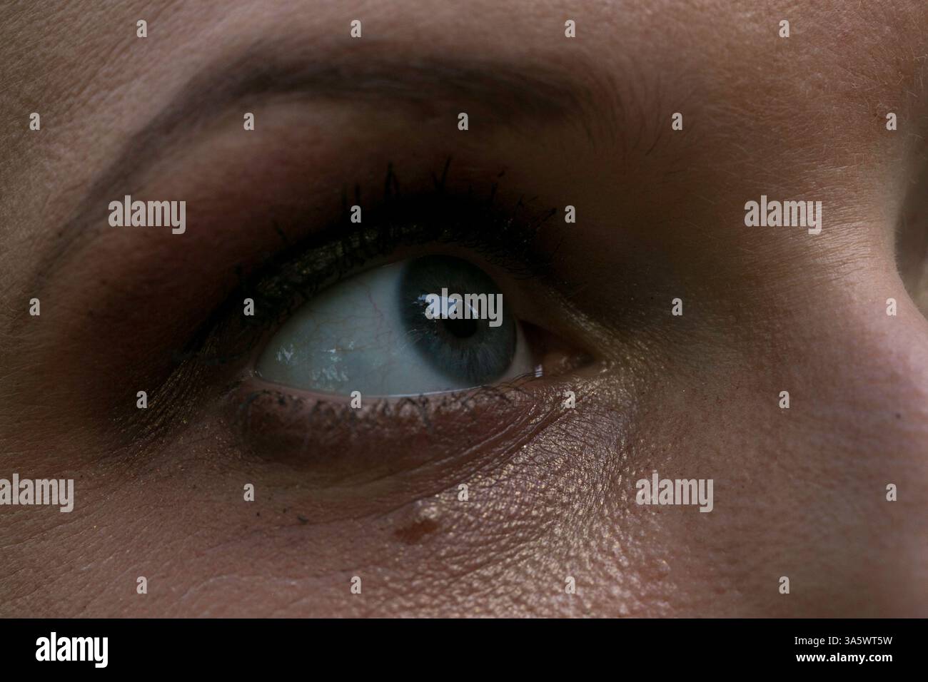 An intimate close-up of a human eye, showing a detailed iris with a ...