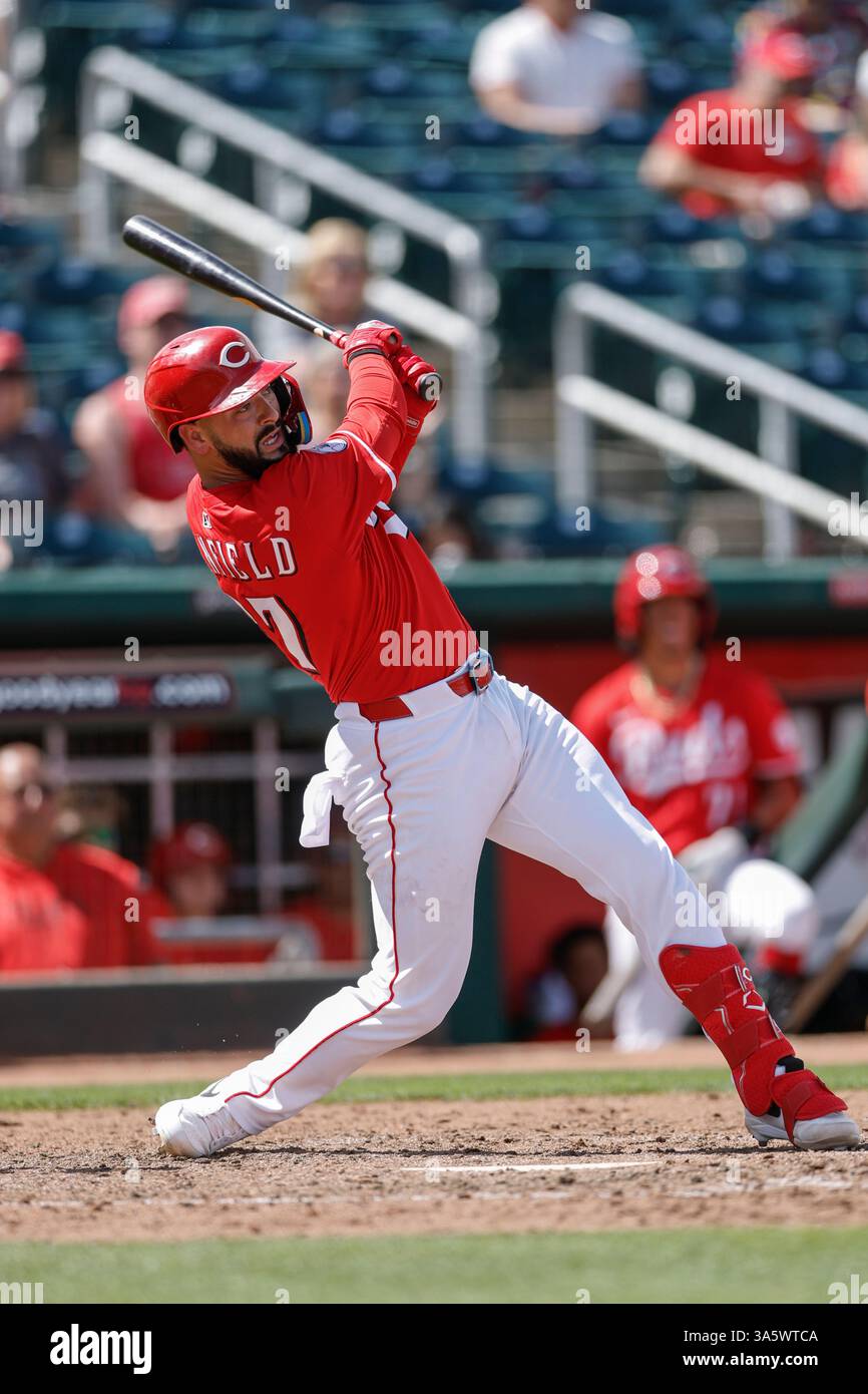 Goodyear, AZ. USA; Cincinnati Reds catchers (87) doubles to center ...