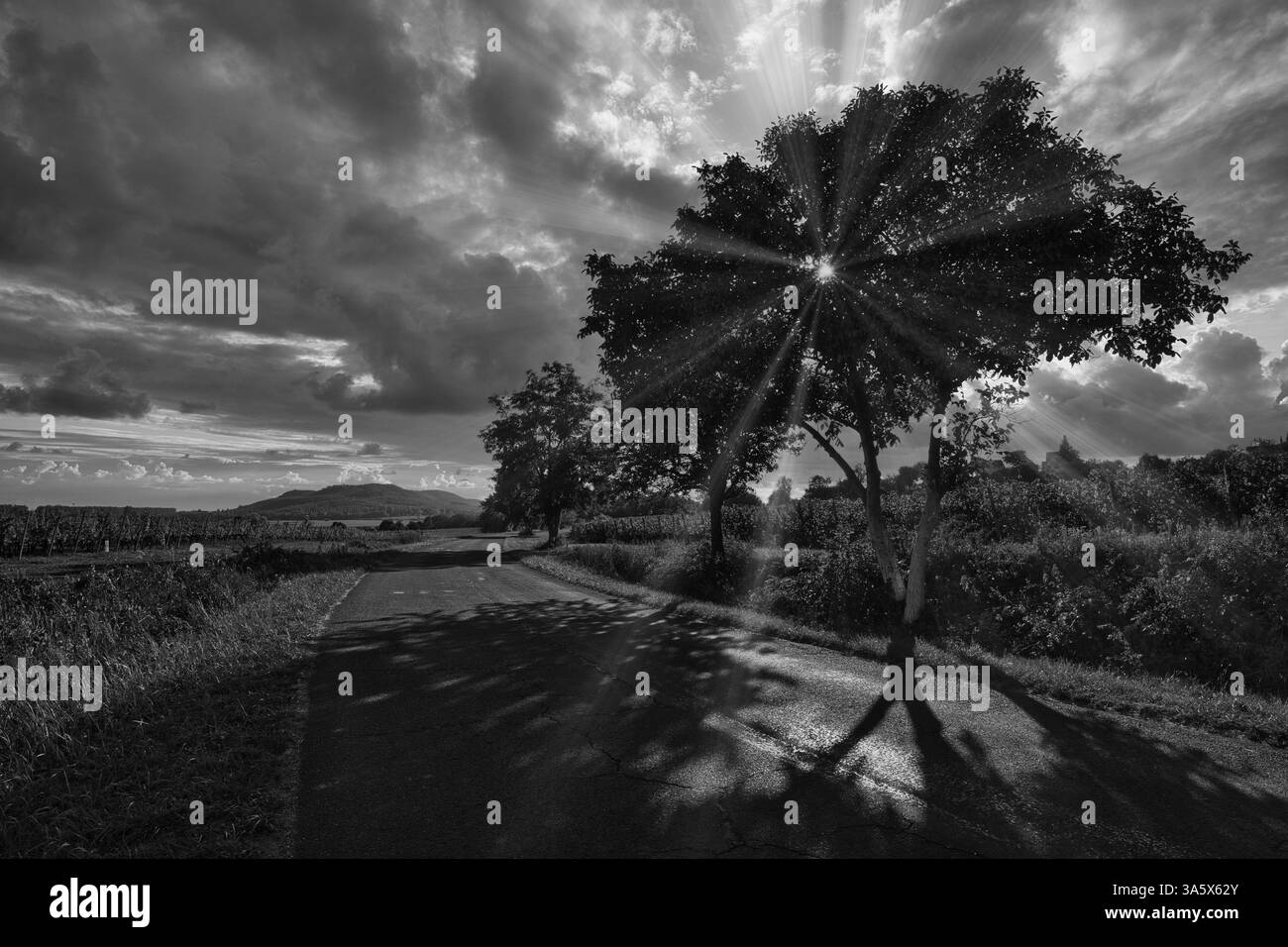 Scenery vibrant sunset in Black and White Stock Photos & Images - Alamy