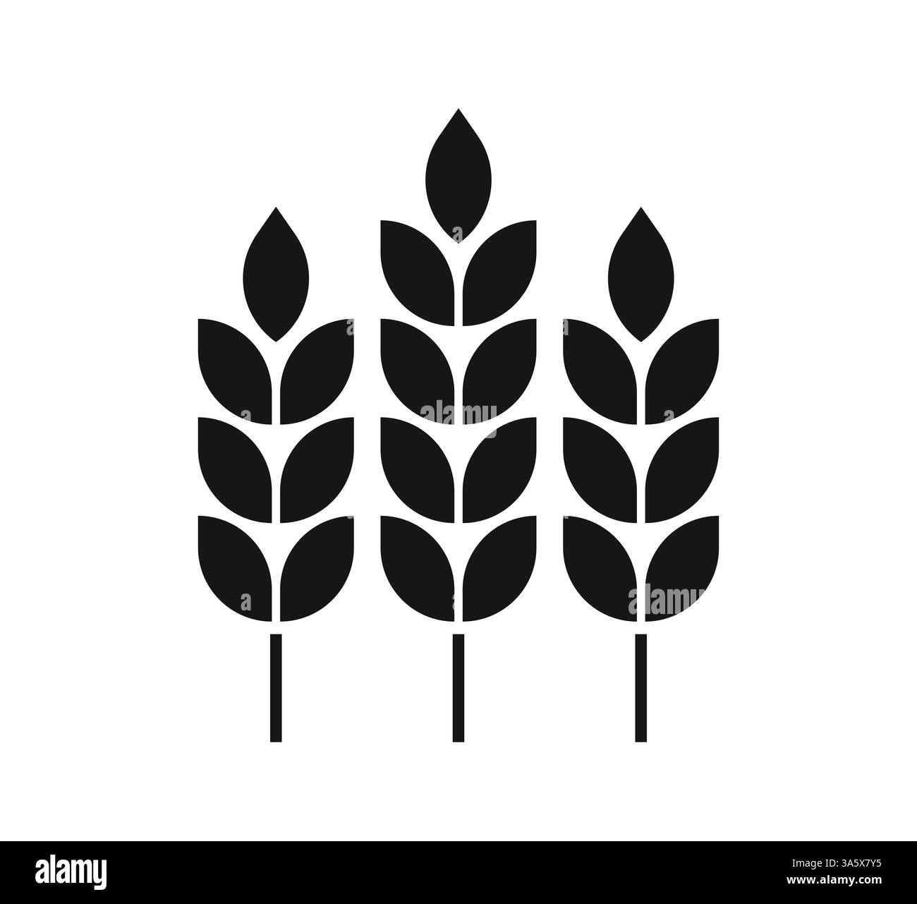 Wheat icon. Silhouette wheats isolated on white background. Malt beer ...