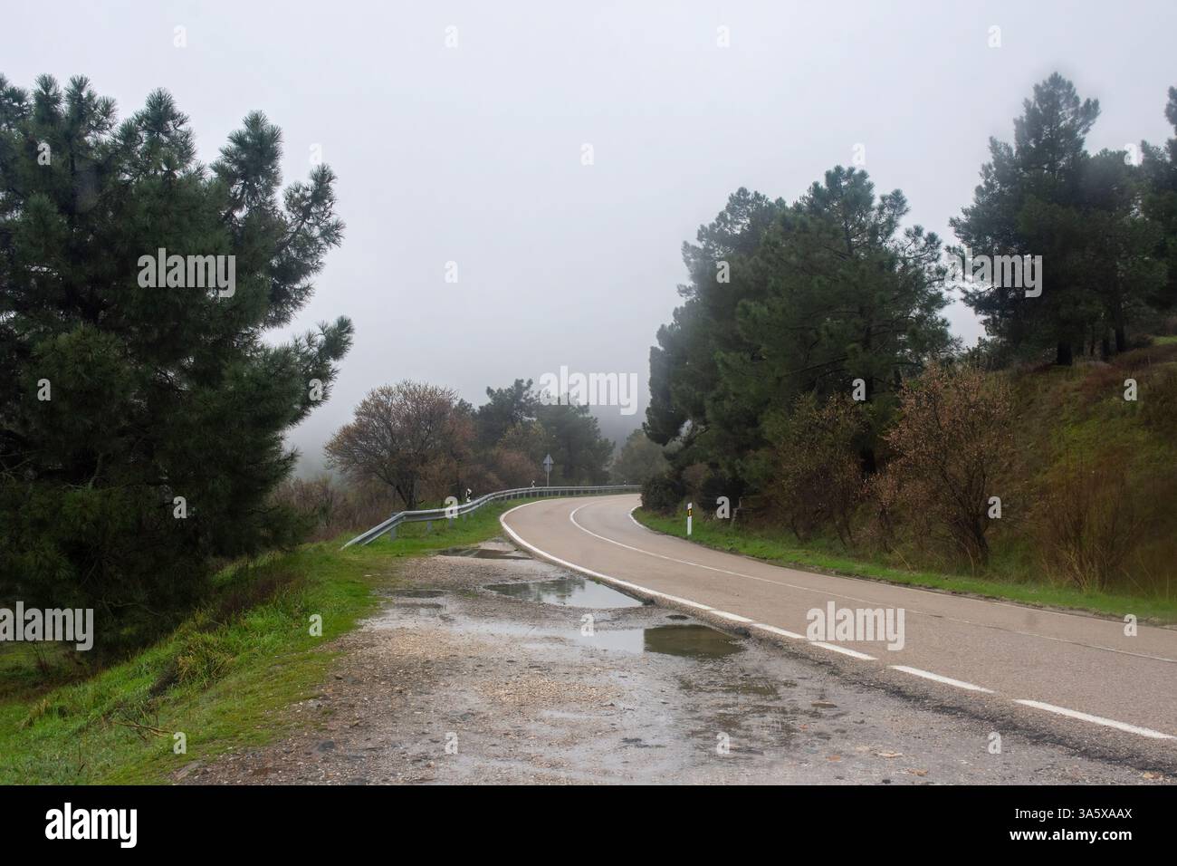 Segunda naturaleza hi-res stock photography and images - Alamy