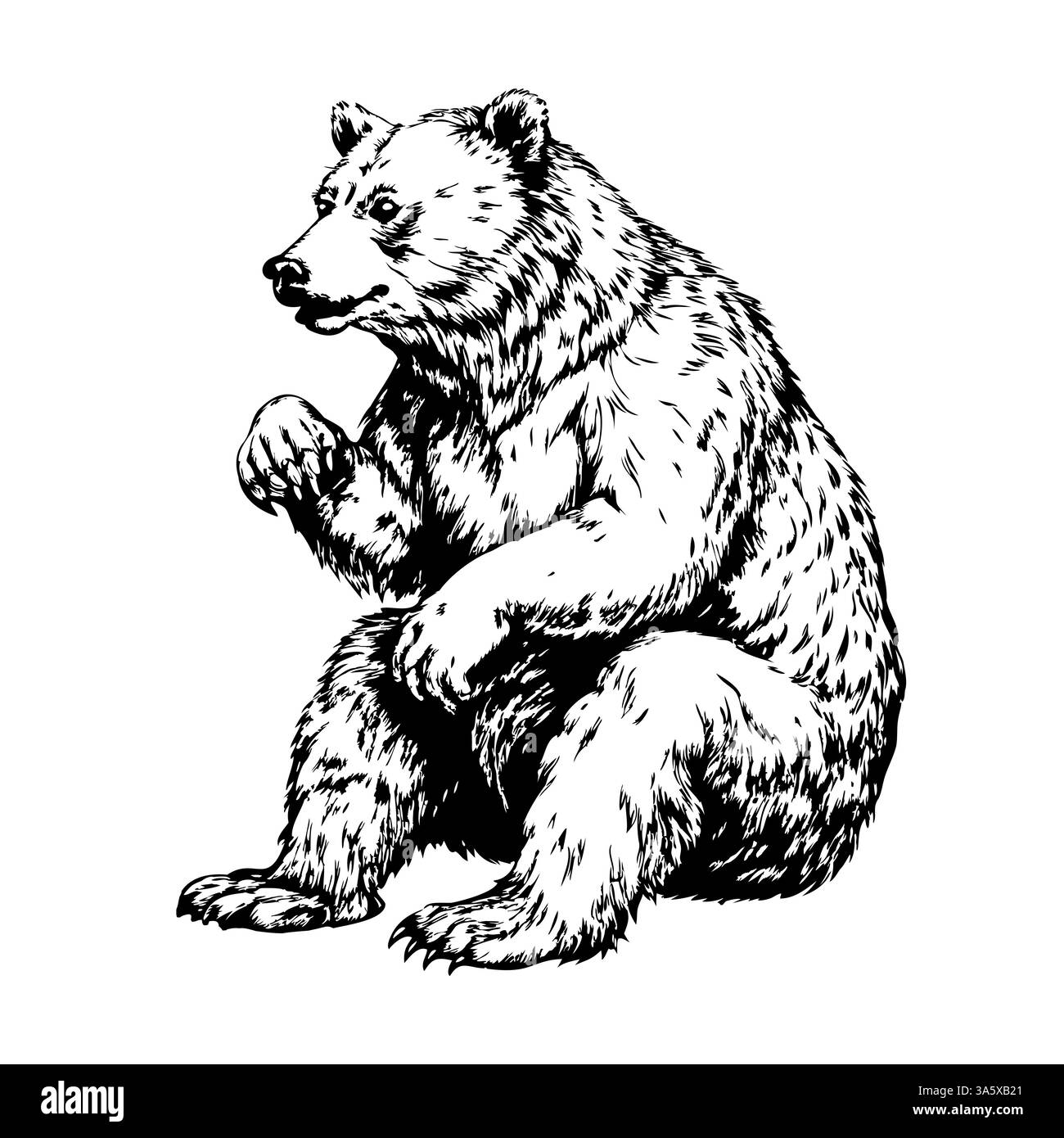 Polar bear hand on head Cut Out Stock Images & Pictures - Alamy