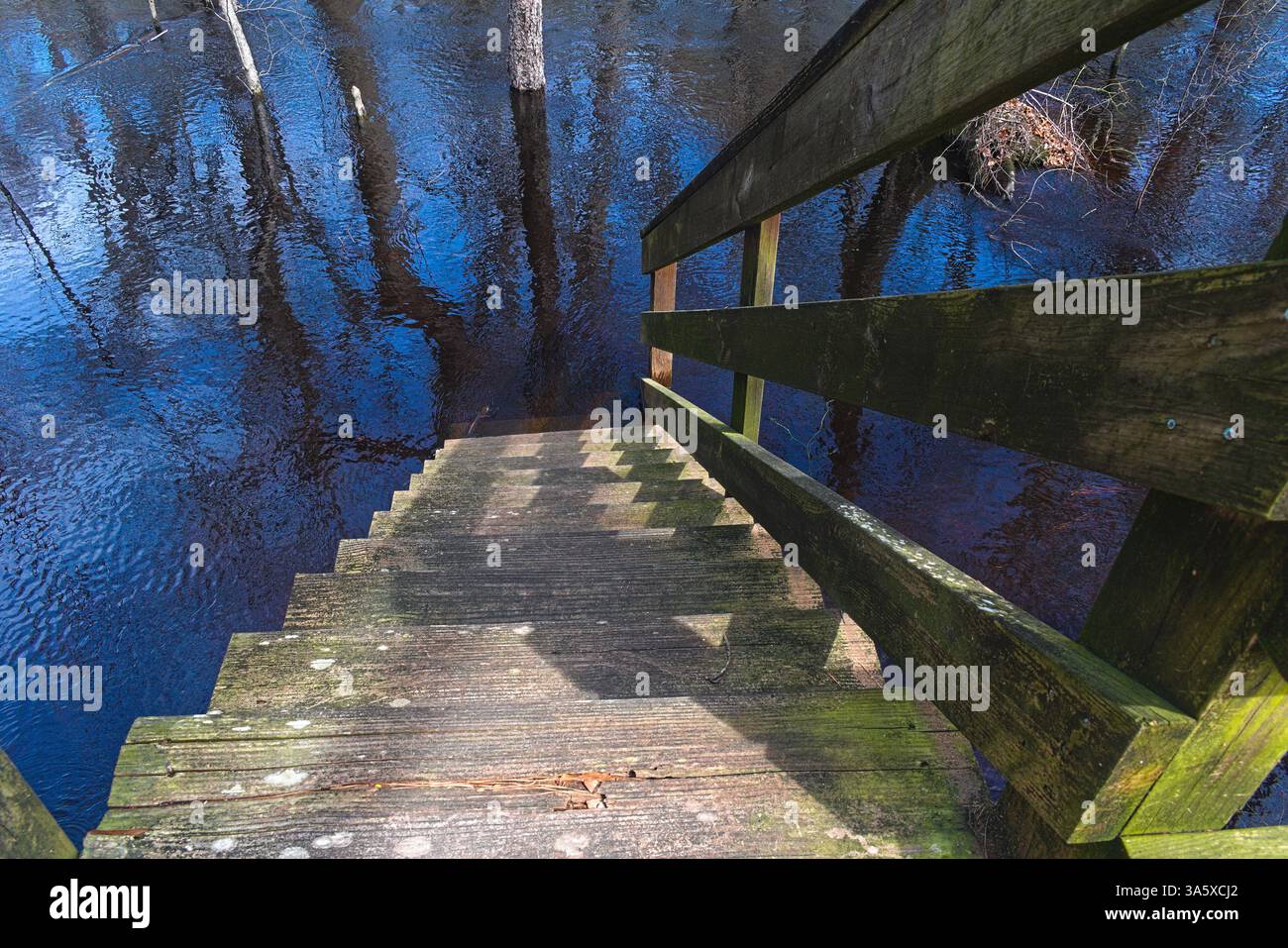 Steps along the Lumber River Riverwalk descend from the boarwalk into ...