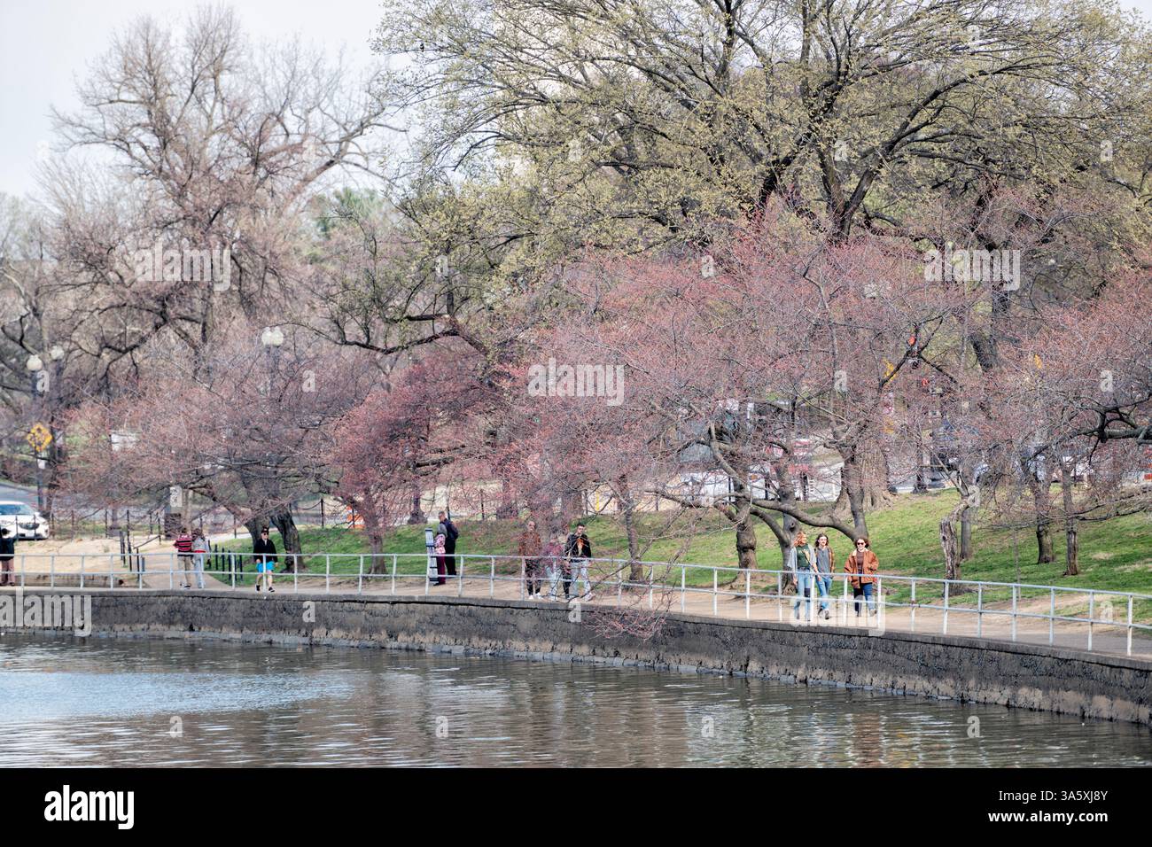 2025 bloom stages hi-res stock photography and images - Alamy
