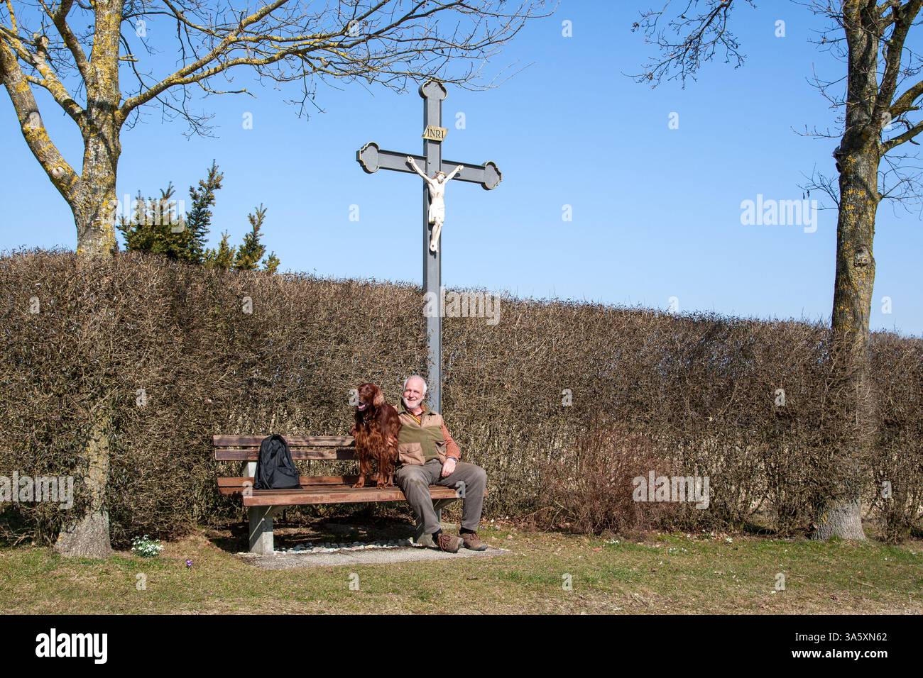 An elderly hiker sits on a wooden bench with his Irish Setter. Beside ...