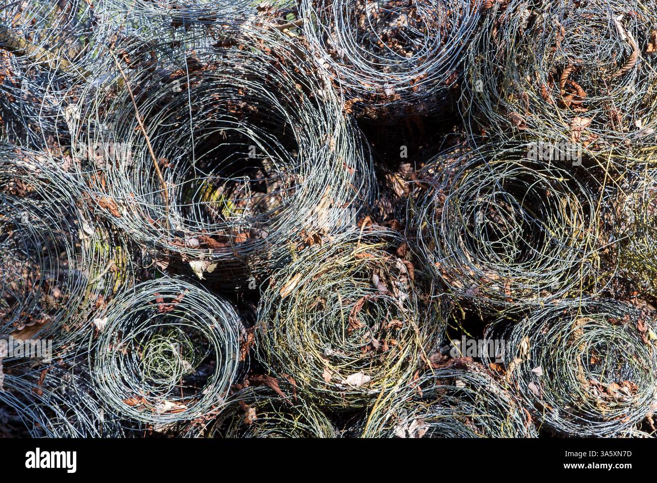 Wire mesh and withered leaves intertwine into a silent pattern of lines ...