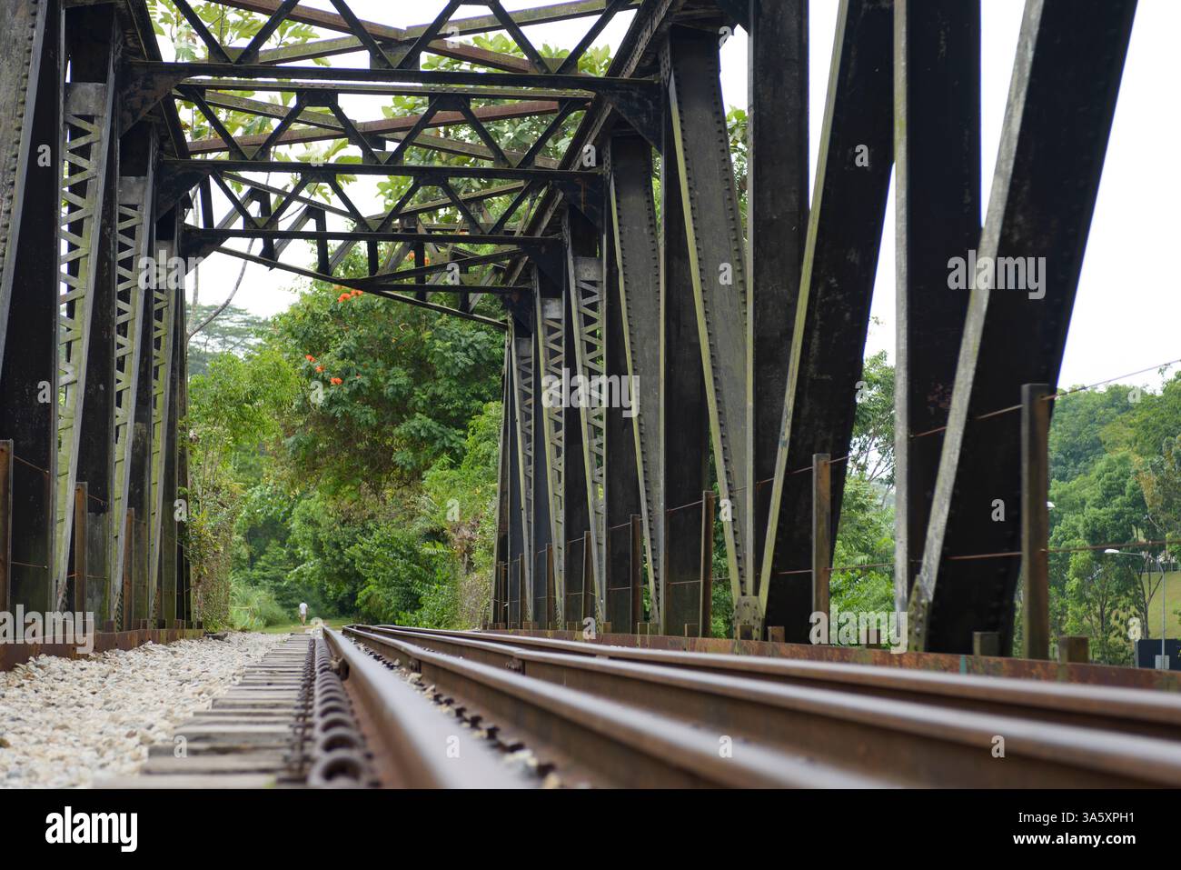 Bridge at the Rail Corridor in Singapore, Southeast Asia Stock Photo ...