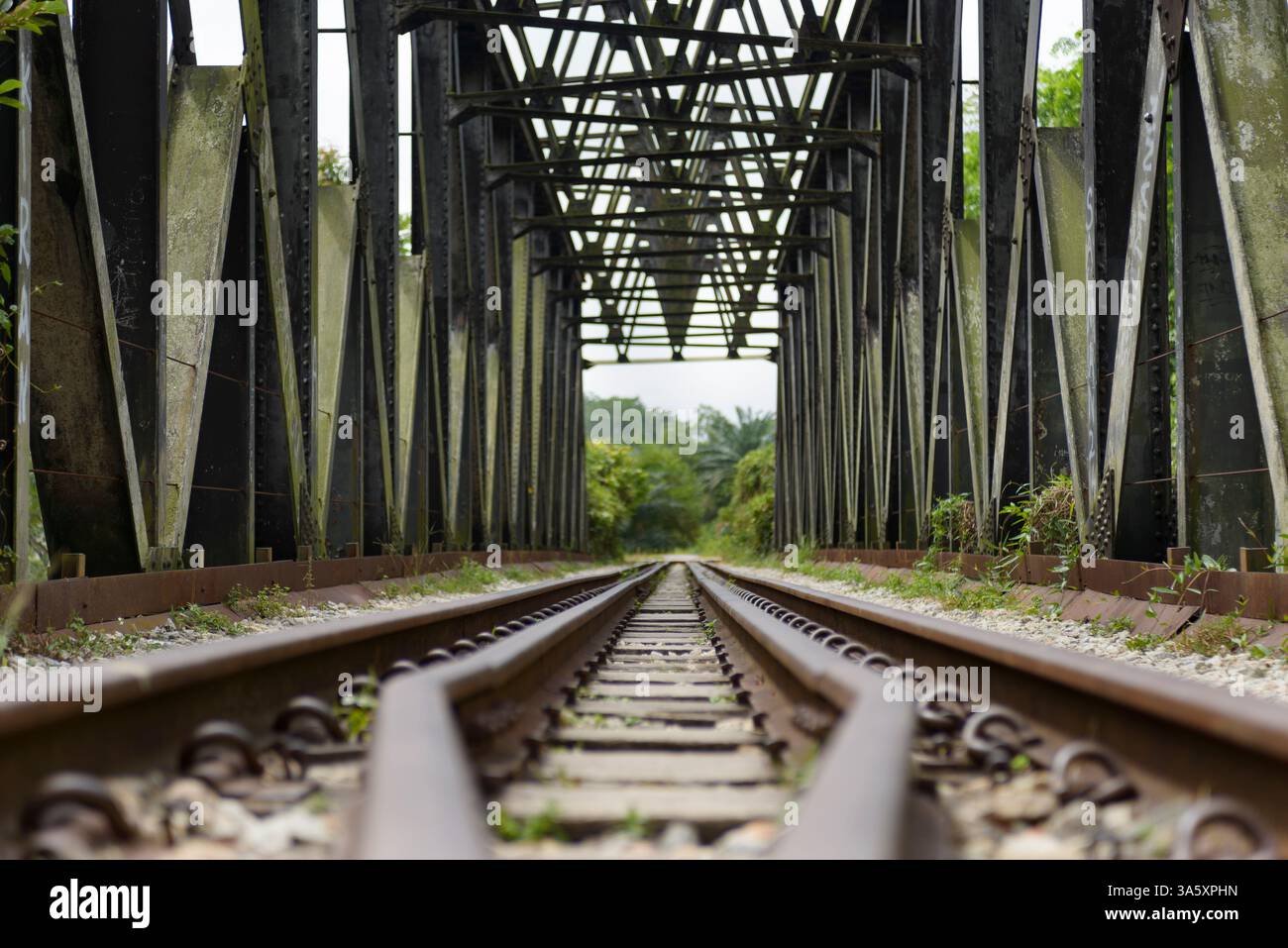 Bridge at the Rail Corridor in Singapore, Southeast Asia Stock Photo ...