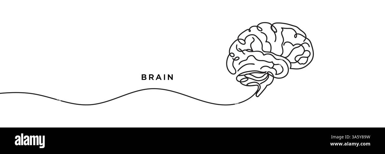 Continuous one line drawing of human brain line art vector illustration ...