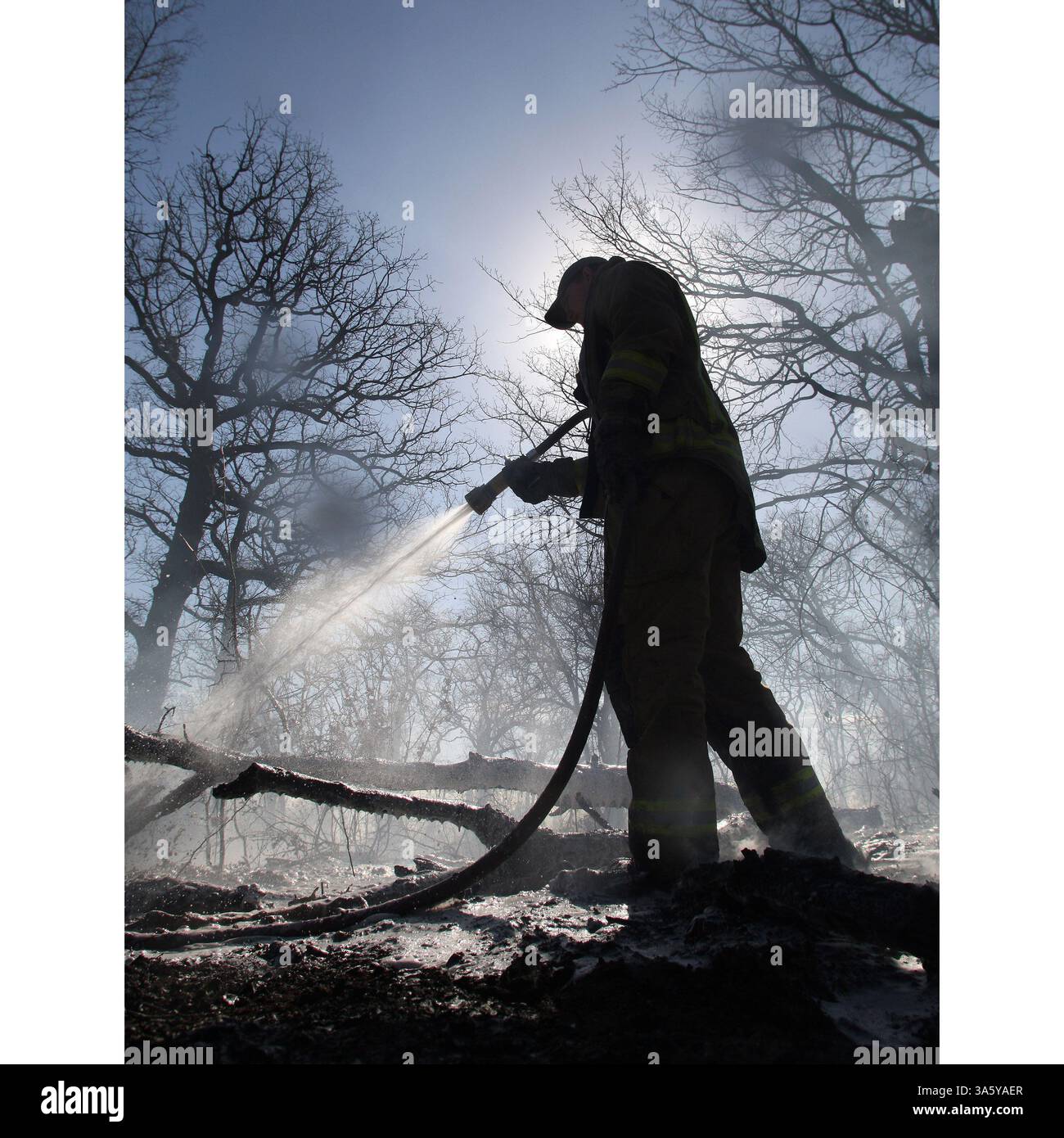 Suchocki hi-res stock photography and images - Alamy