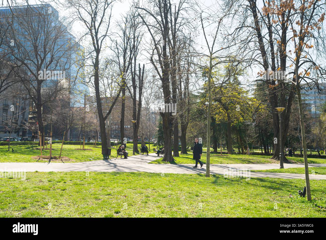 Belgrade, Serbia. March 21, 2025. Winter panoramic view of Manjež park ...