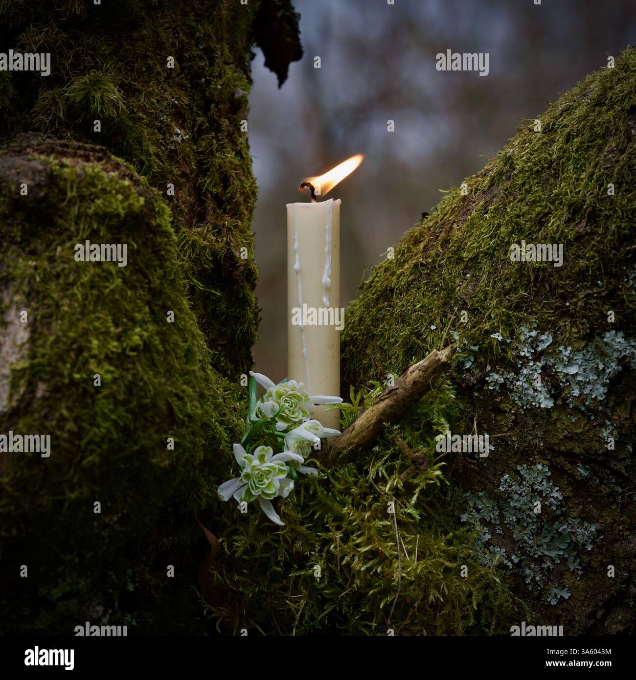Flowers altar burning candle hi-res stock photography and images - Alamy
