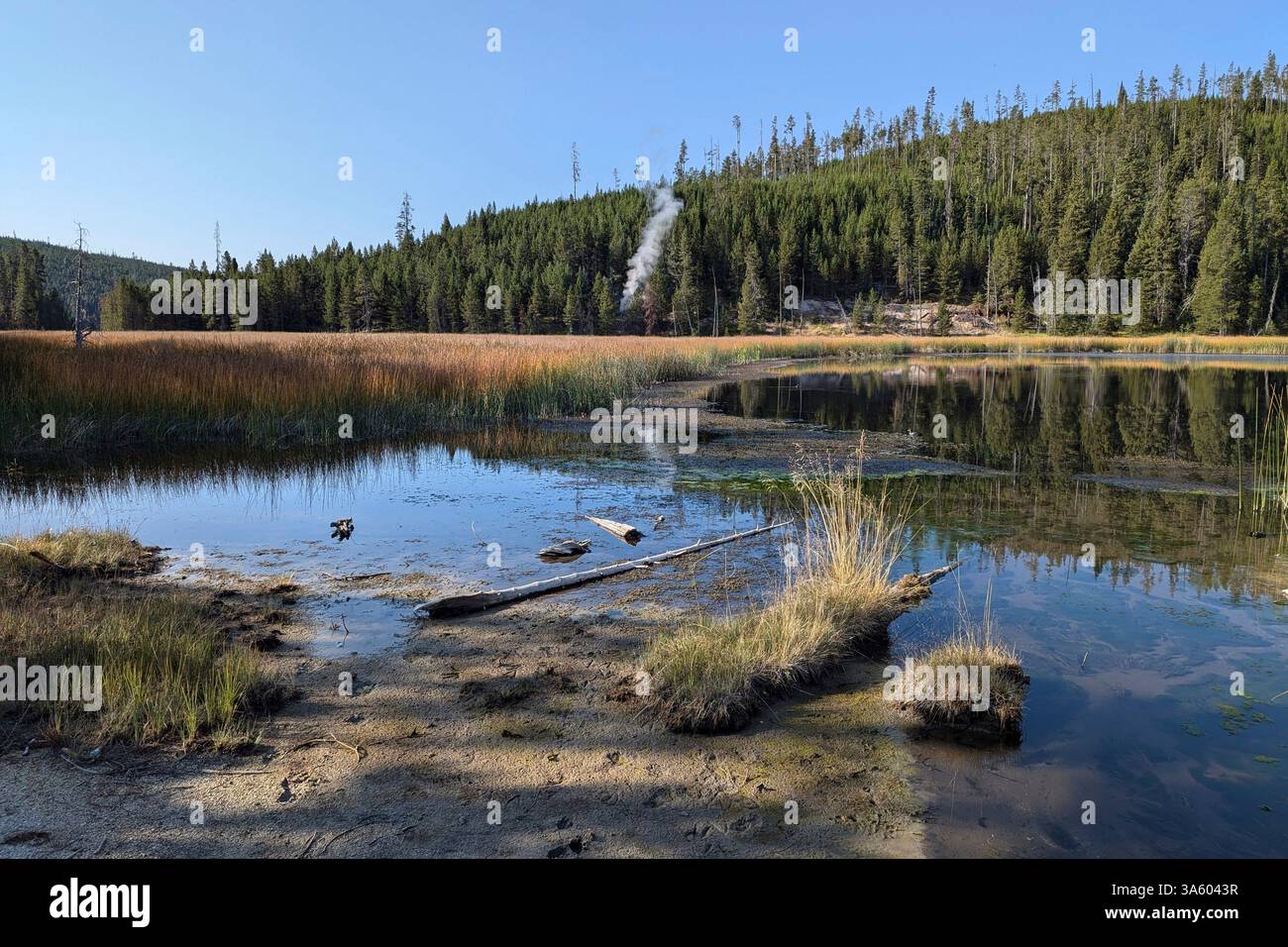 In this photo released by the USGS, a plume of steam is seen rising ...