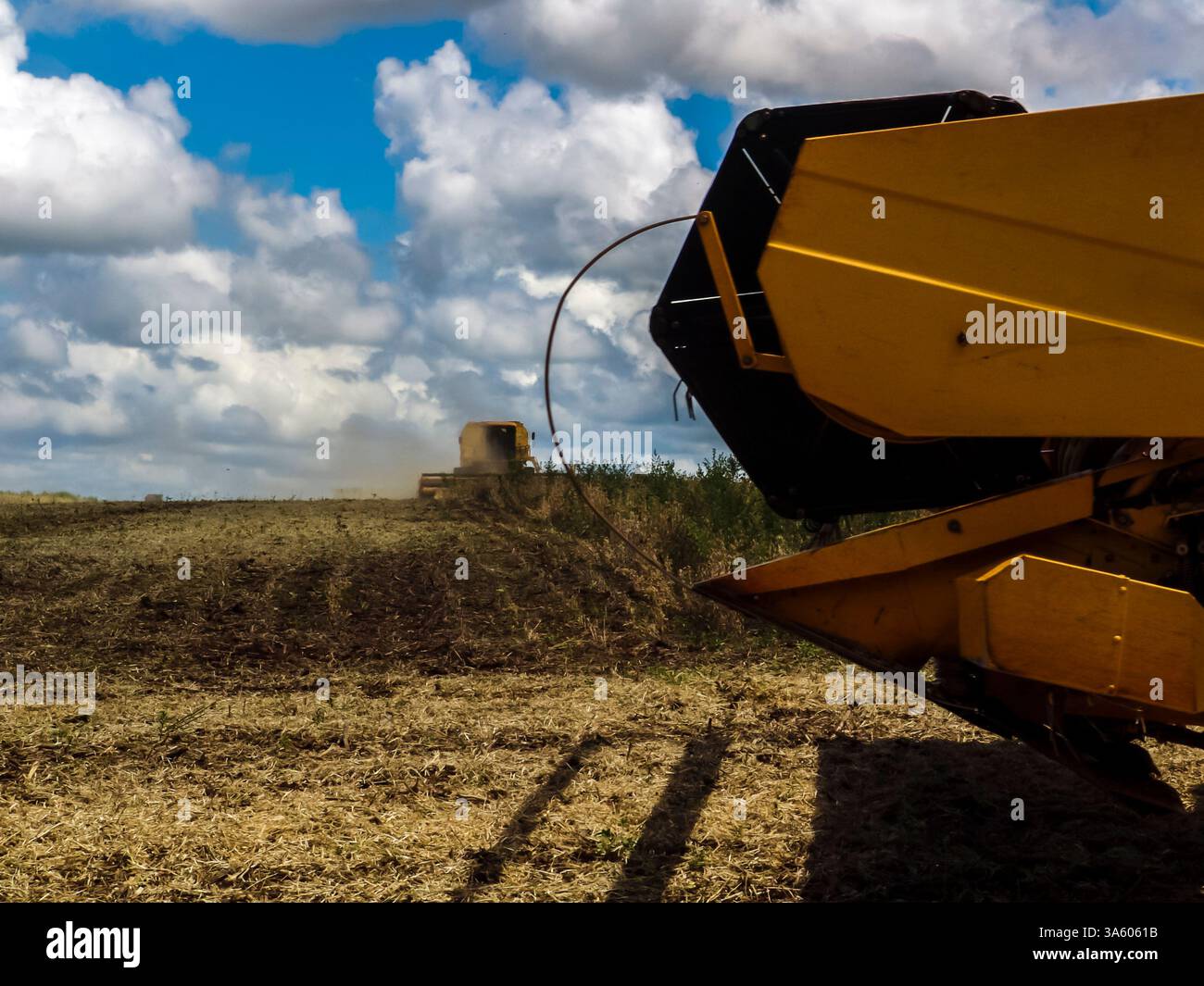 Mato Grosso, Brazil, March 17, 2006: Mechanized soybean harvesting with ...