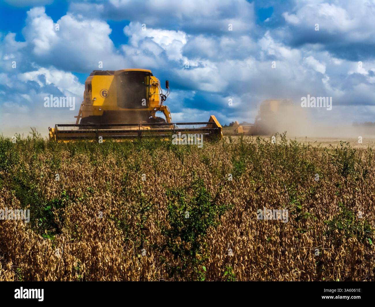 Mato Grosso, Brazil, March 17, 2006: Mechanized soybean harvesting with ...