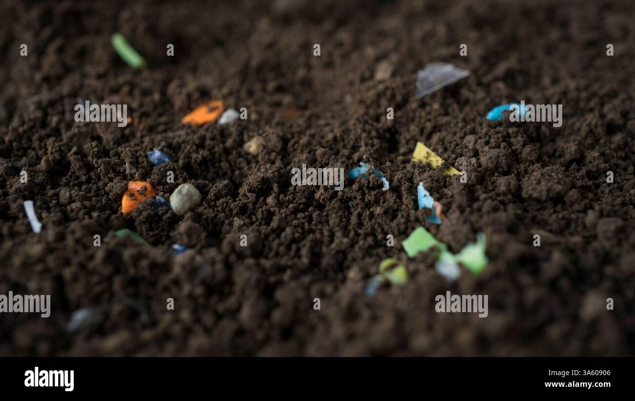 MIcro plastic waste contamination in the agricultural field ...